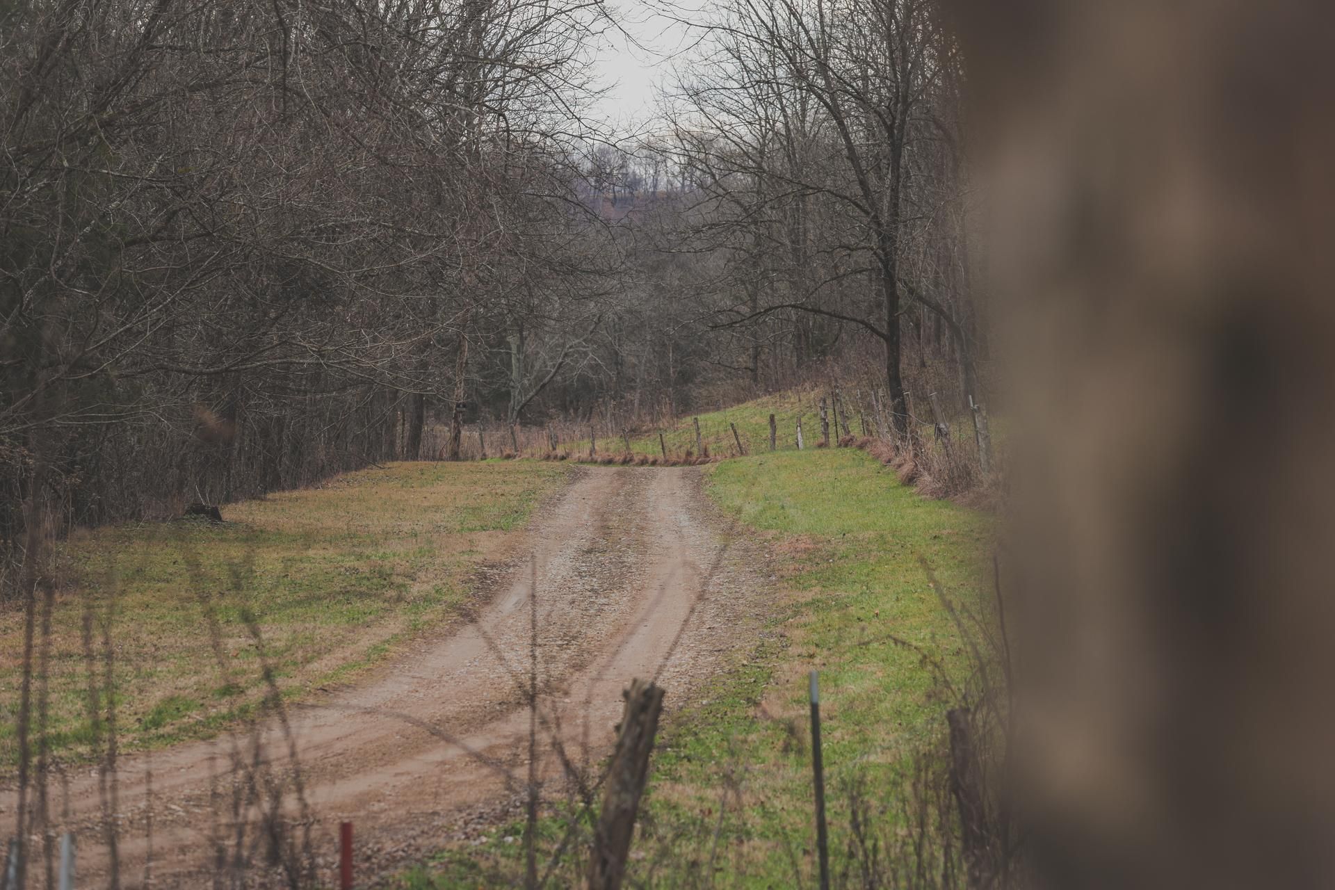 16431 Wallace Hollow Rd, Silver Point, TN 38582 | LandWatch