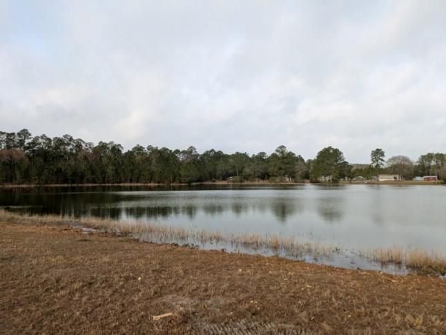 1.1 acres in Lake Butler, FL, 32054 | LandWatch