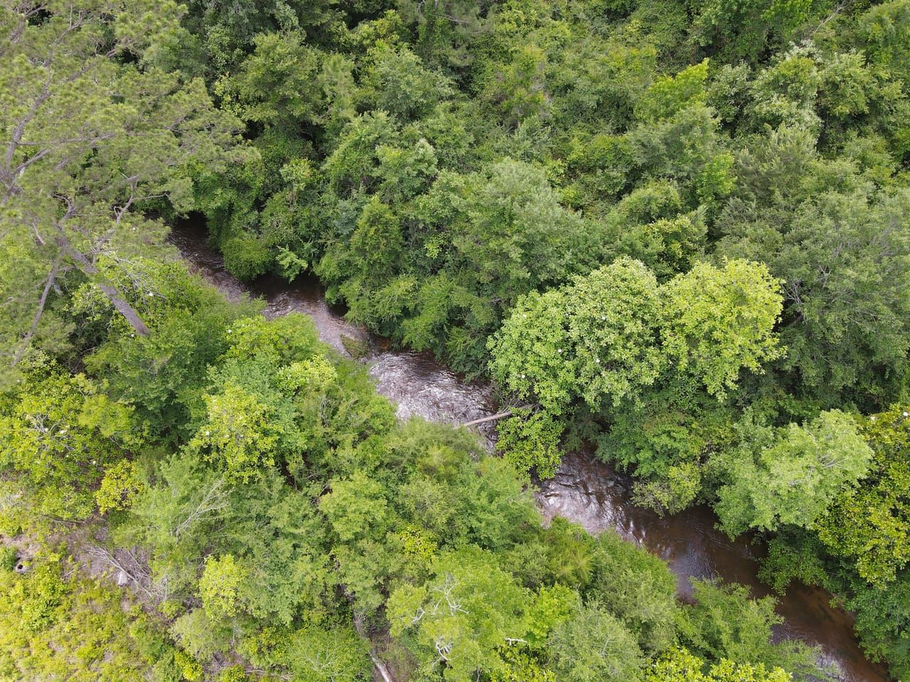 Castleberry, Castleberry, AL 36432 | LandWatch