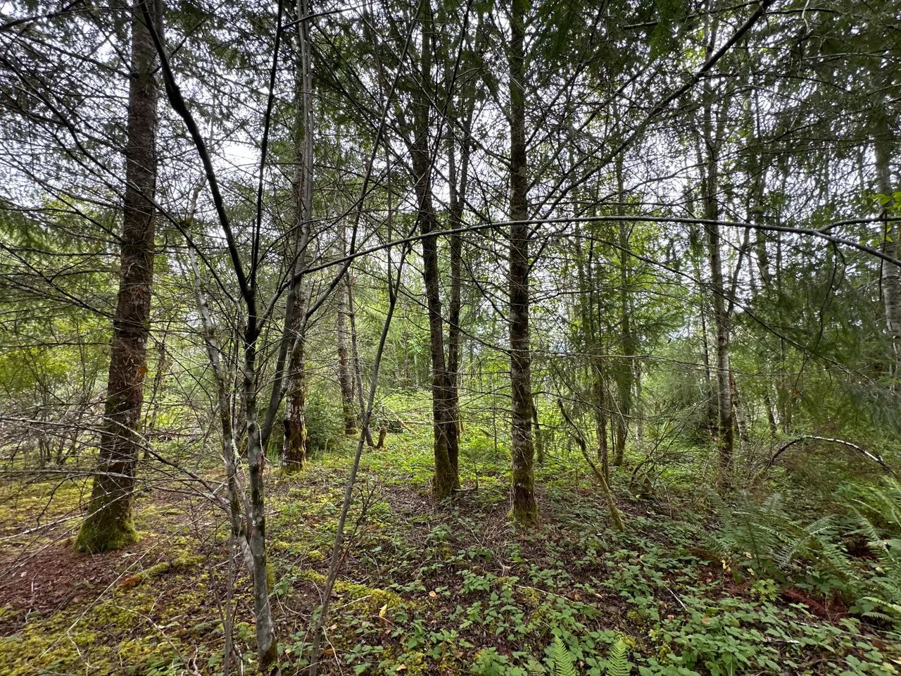 1 XX E Charms Way, Union, WA 98592 | MLS: 2293555 | LandWatch