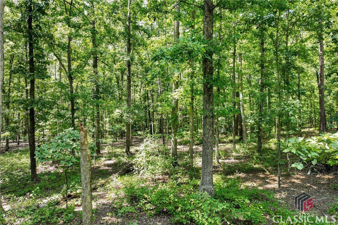 268 Cemetery Circle, Comer, GA 30629 | MLS: 1023771 | LandWatch