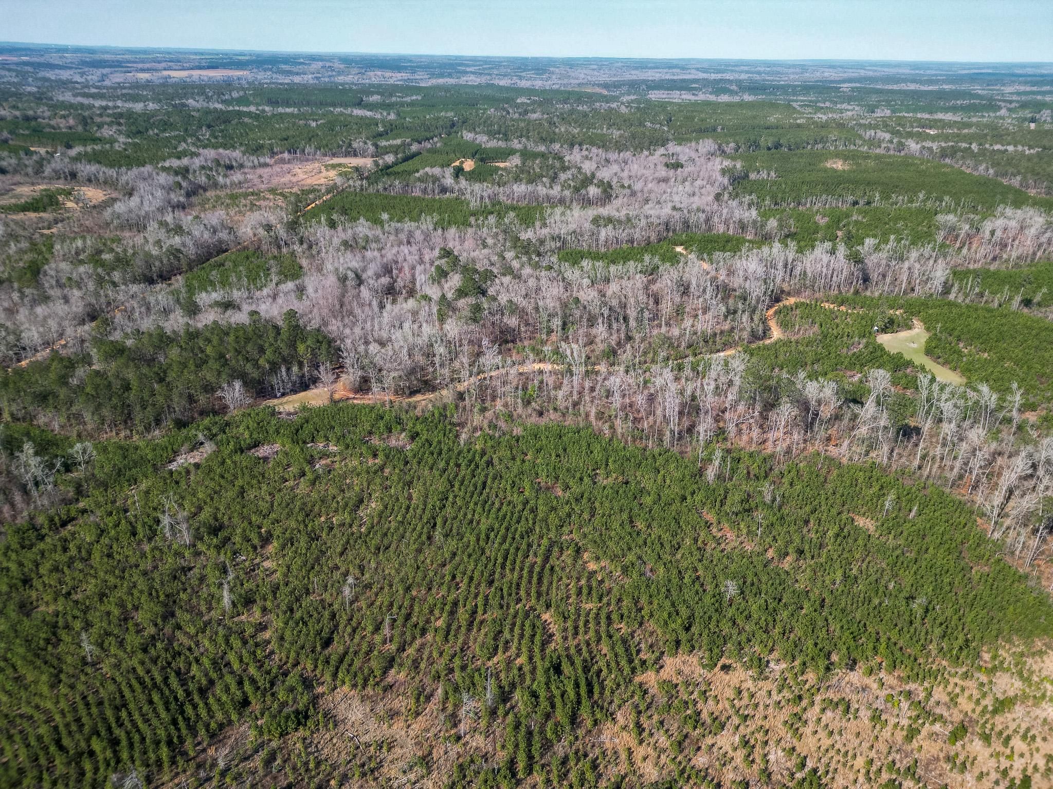 Days Avenue, Morris, GA 39867 | LandWatch