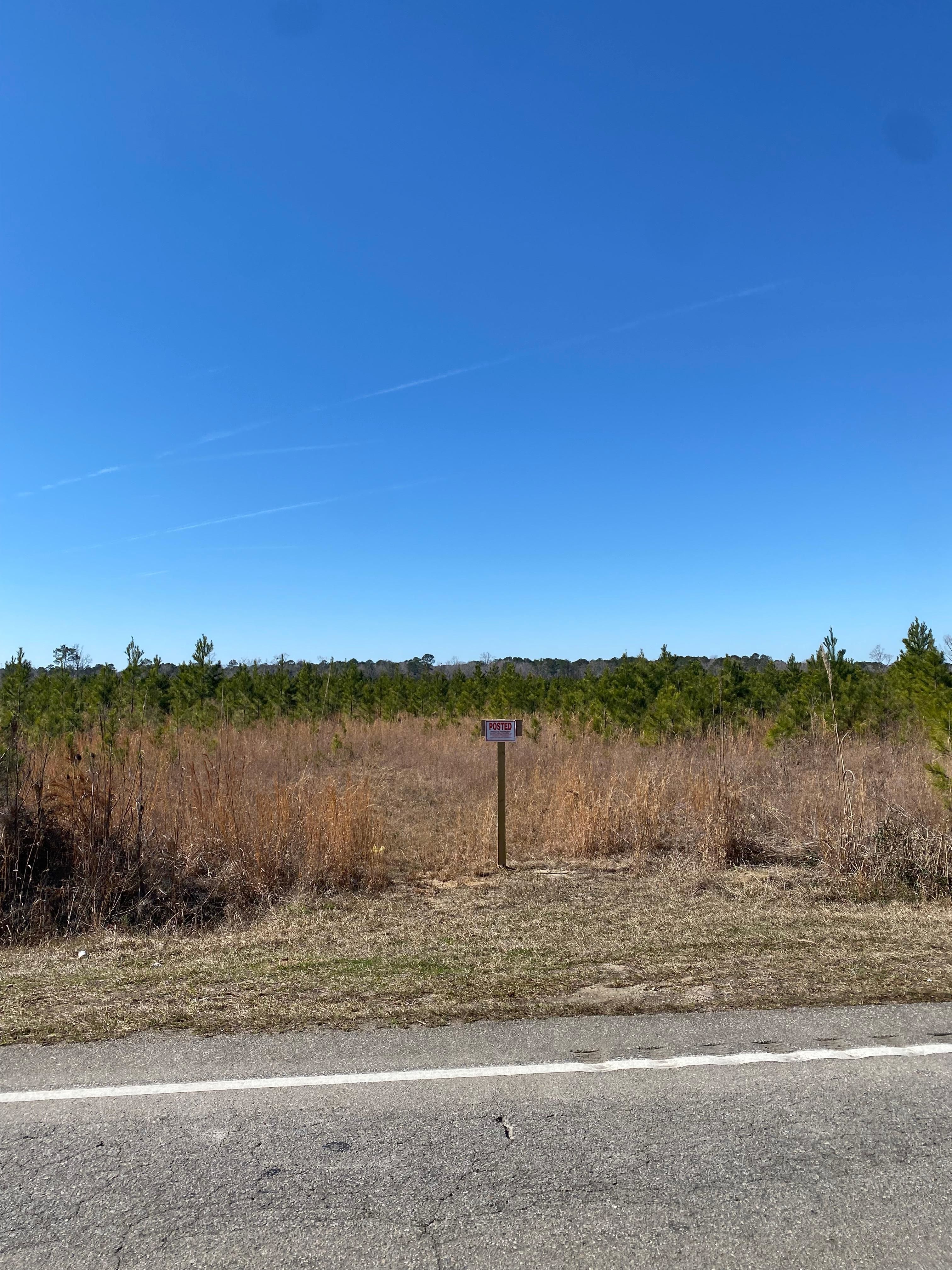 hwy 260, Manning, SC 29102 | MLS: 20250571 | LandWatch