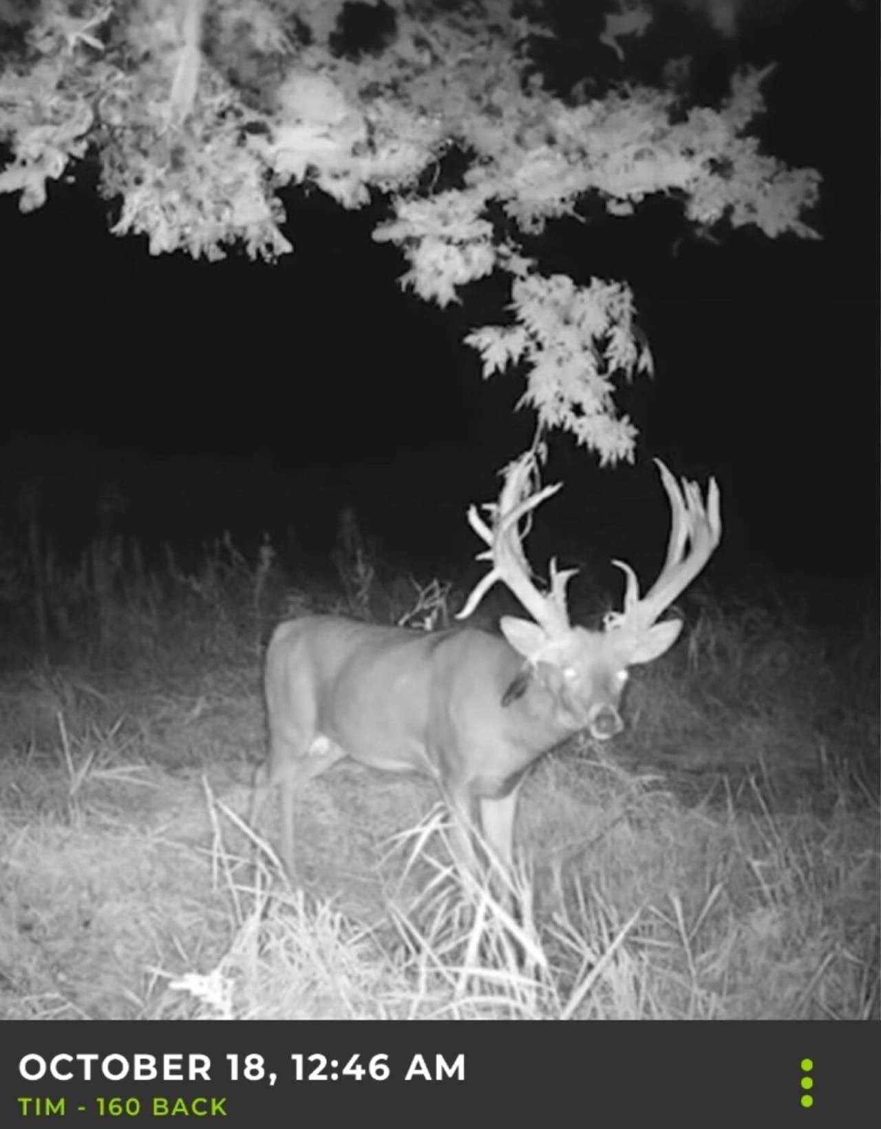 00000, Protection, KS 67127 | LandWatch