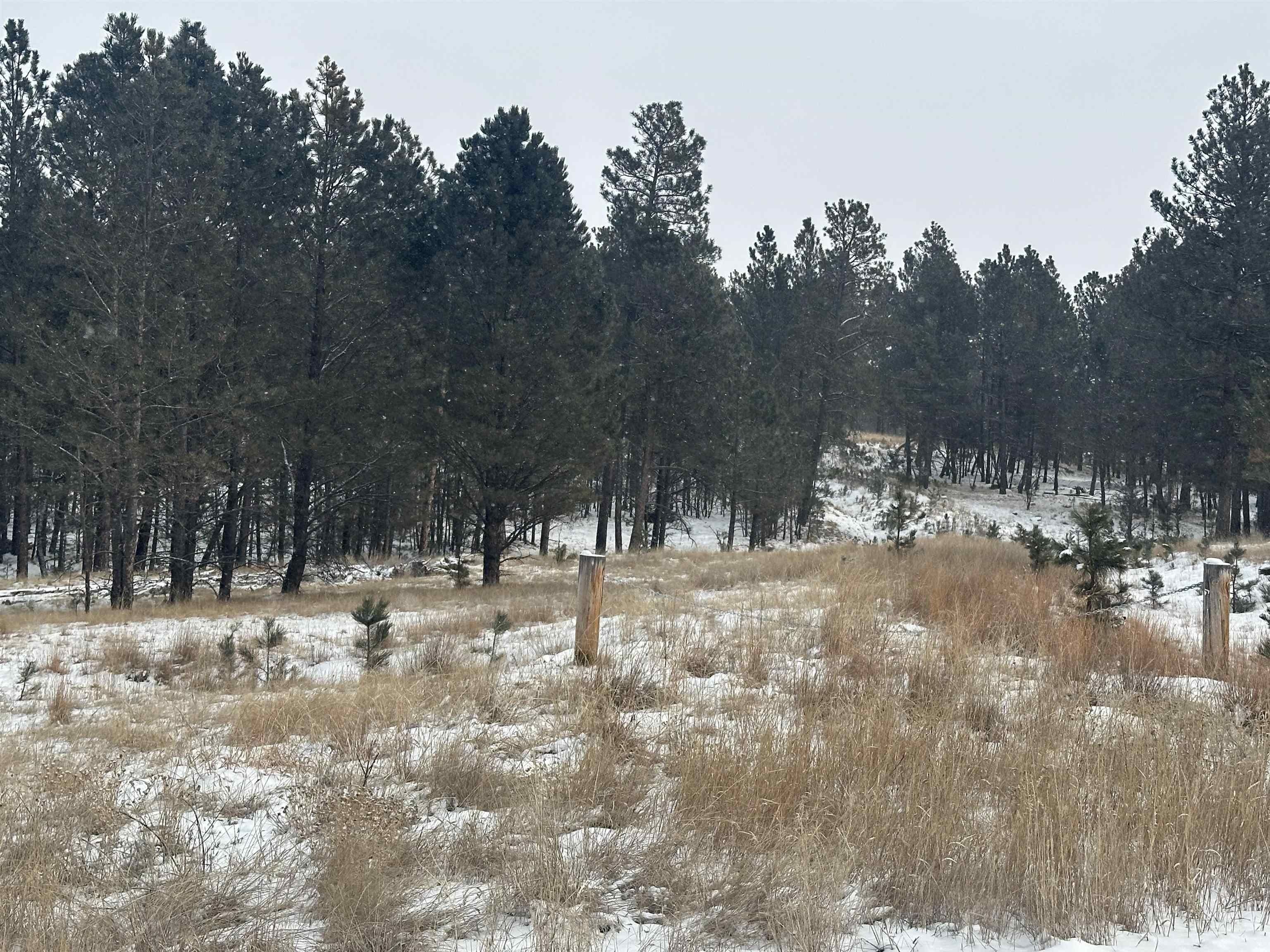 11971 Sundance Drive, Hot Springs, SD 57747 | MLS: 83172 | LandWatch
