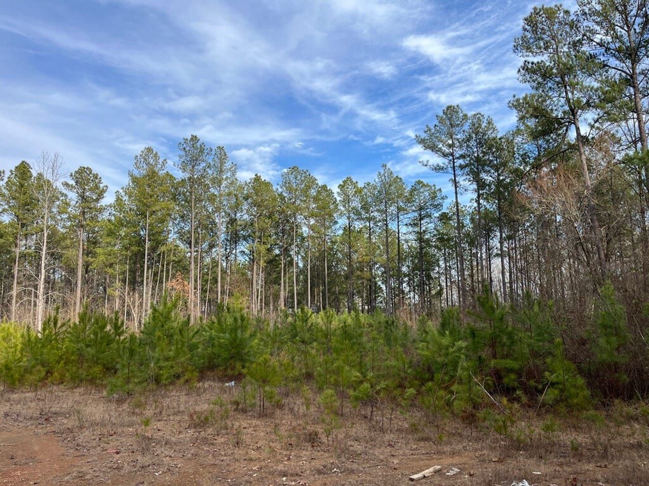 Bishop Ridge Road, West Blocton, AL 35184 | LandWatch