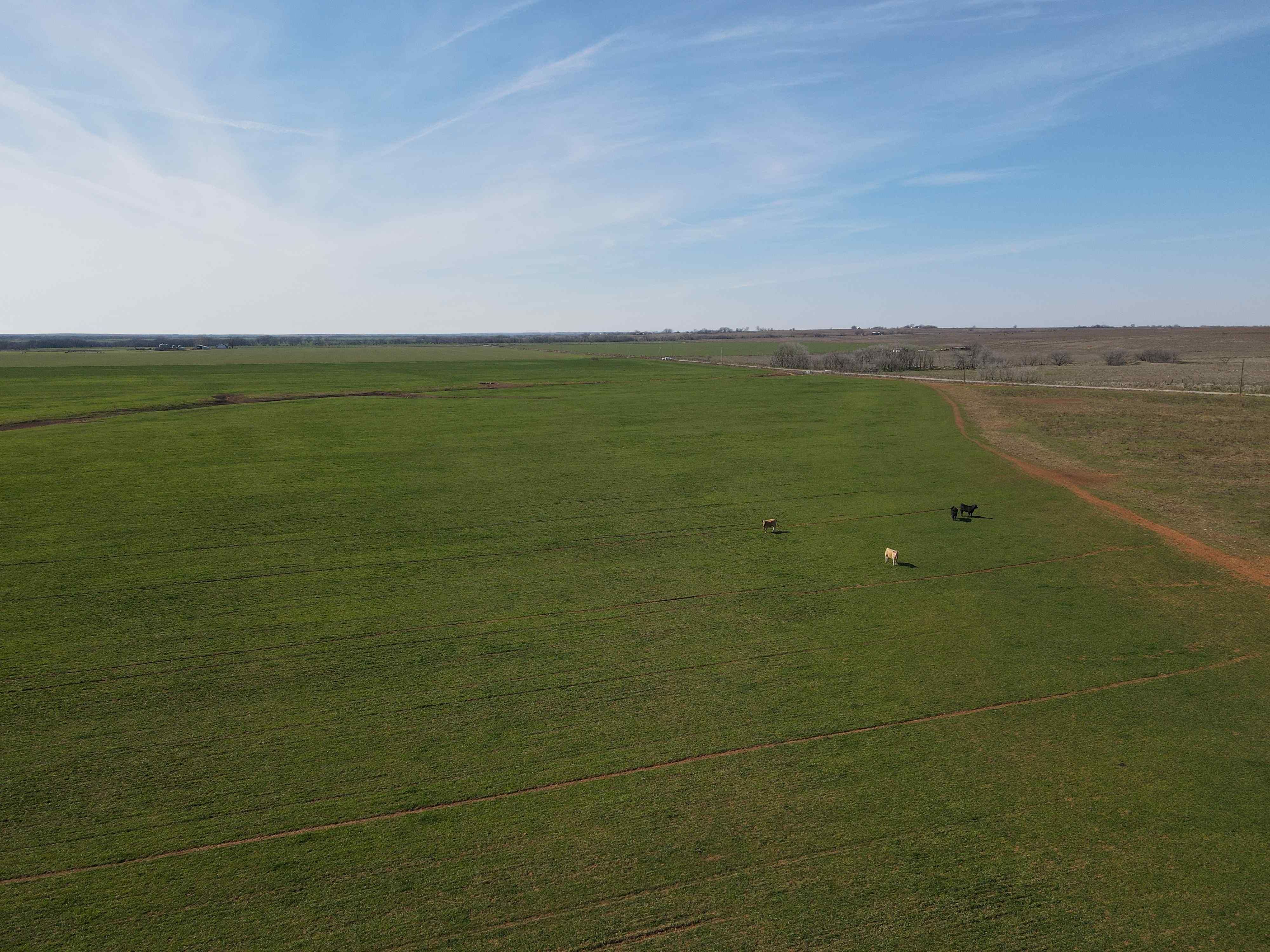 E 2060 Road, Ryan, OK 73565 | LandWatch