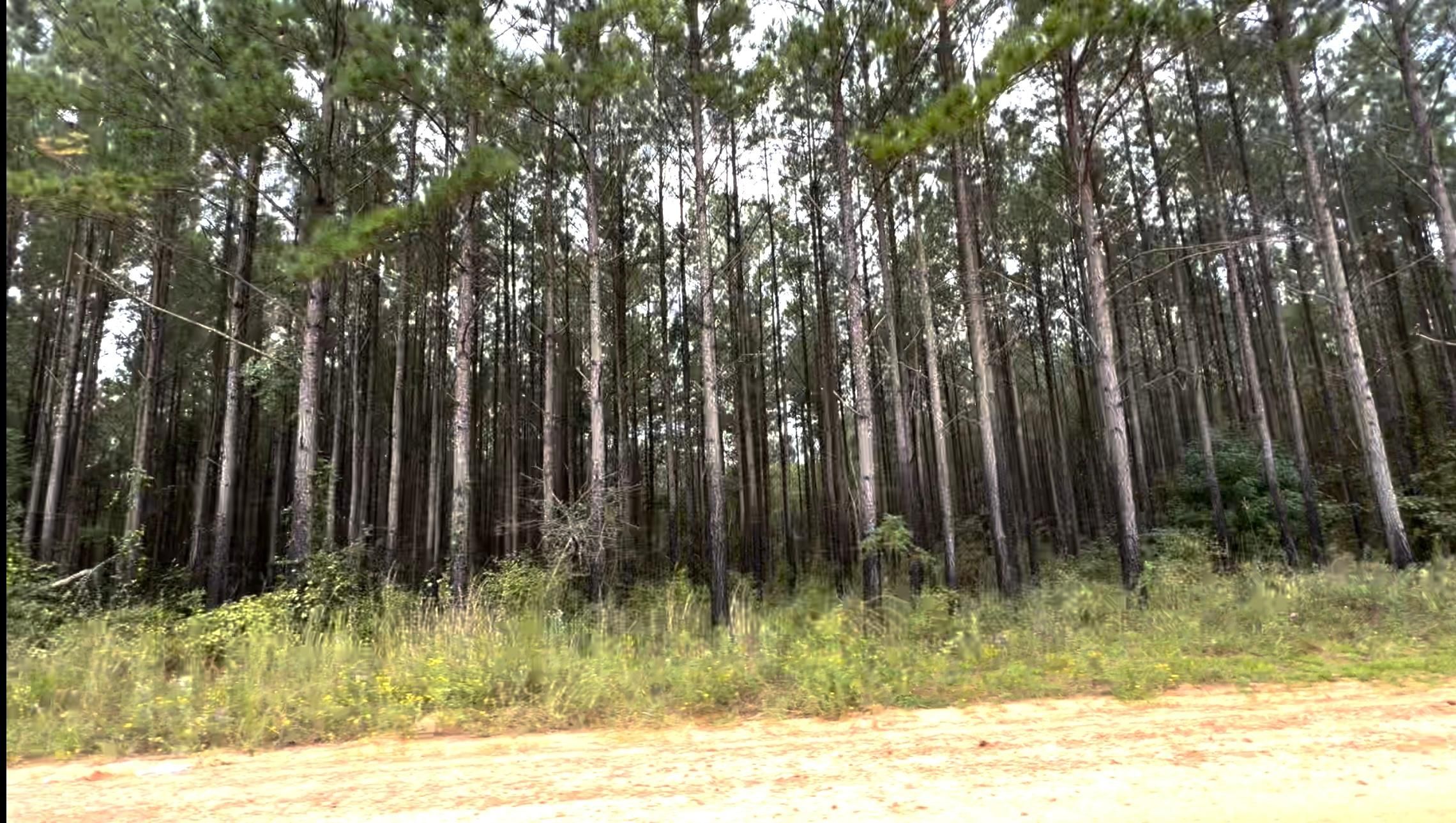 River Road, Banks, AL 36005 | LandWatch