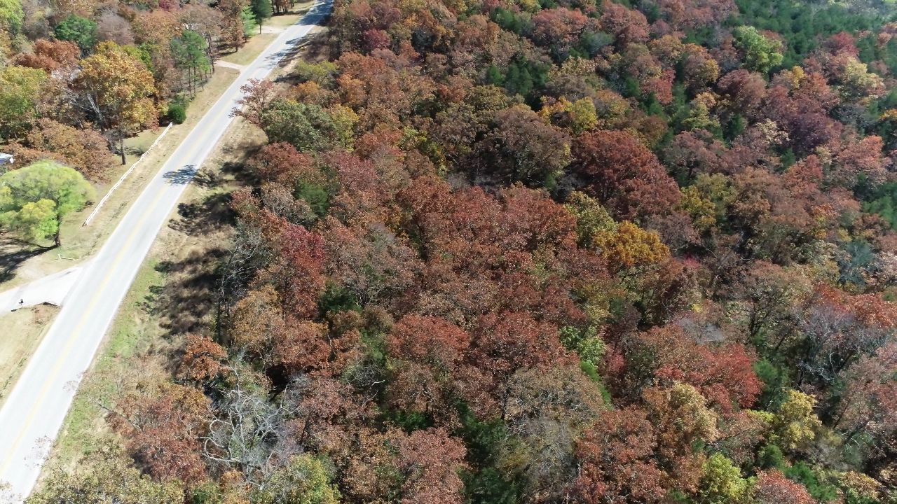 State Highway 76, Kirbyville, MO 65769 | MLS: 60287529 | LandWatch
