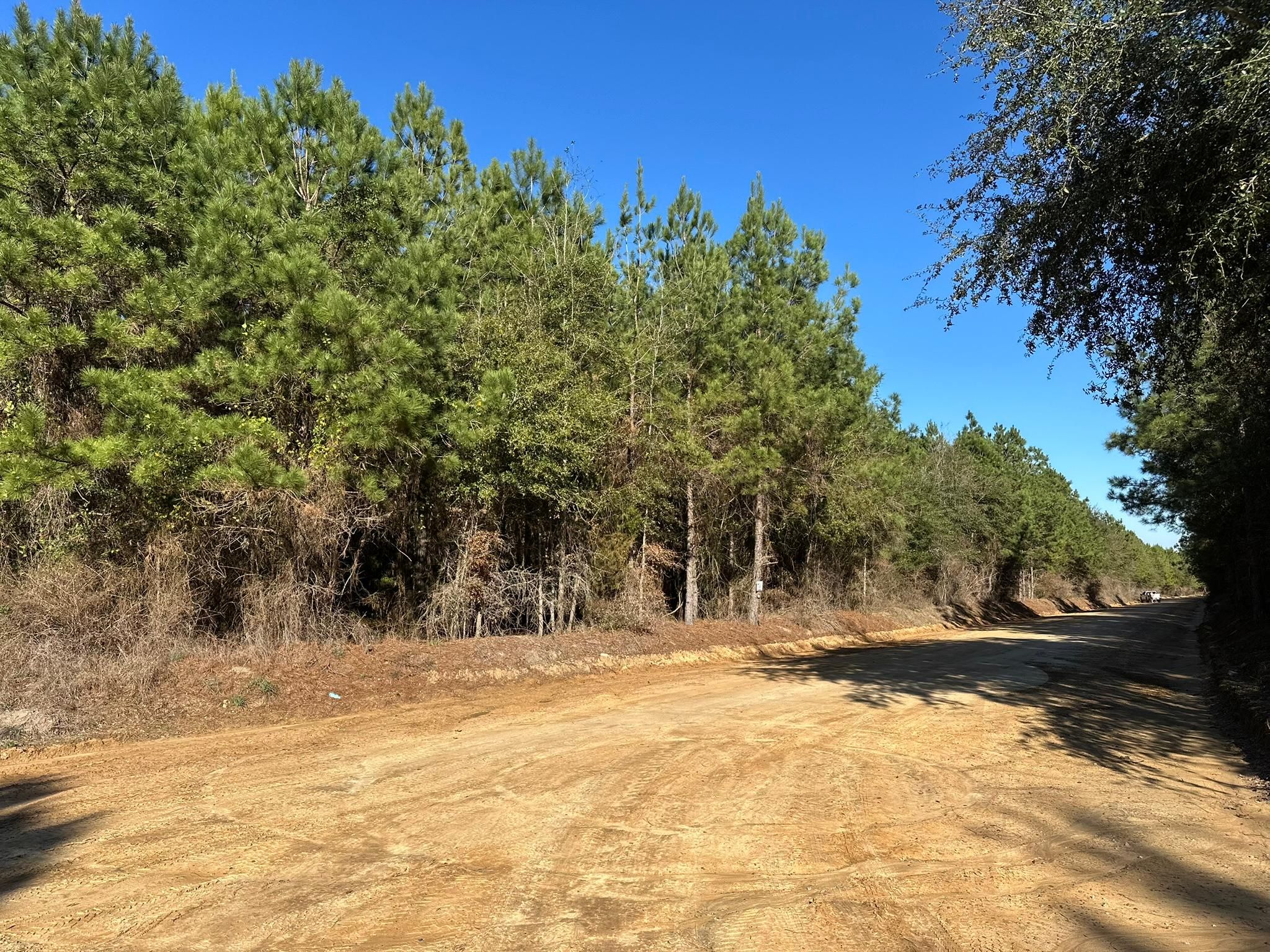 Barnes Rd, Gordon, AL 36343 | LandWatch