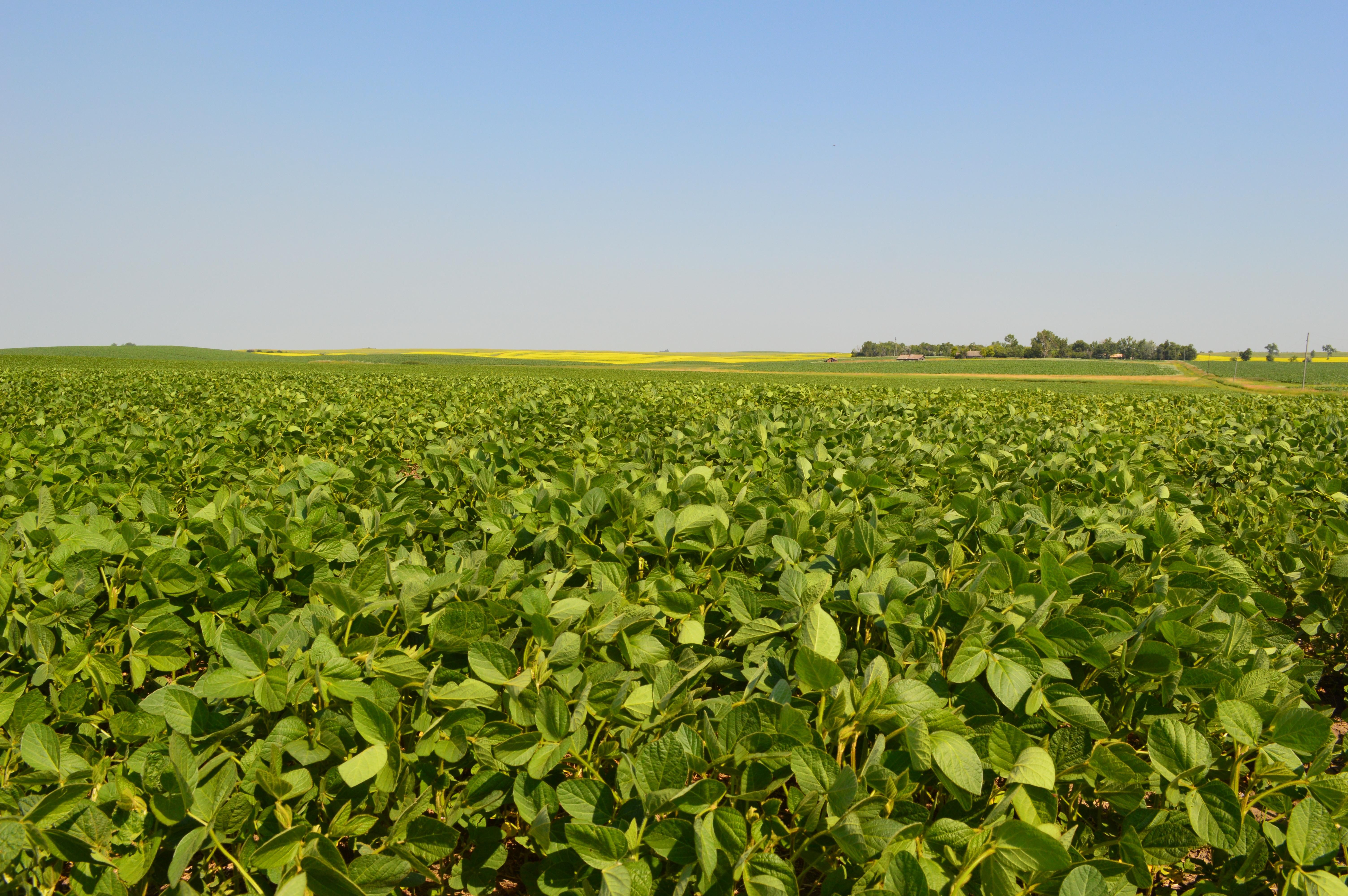 153.63 acres in Benedict, ND, 58716 | LandWatch