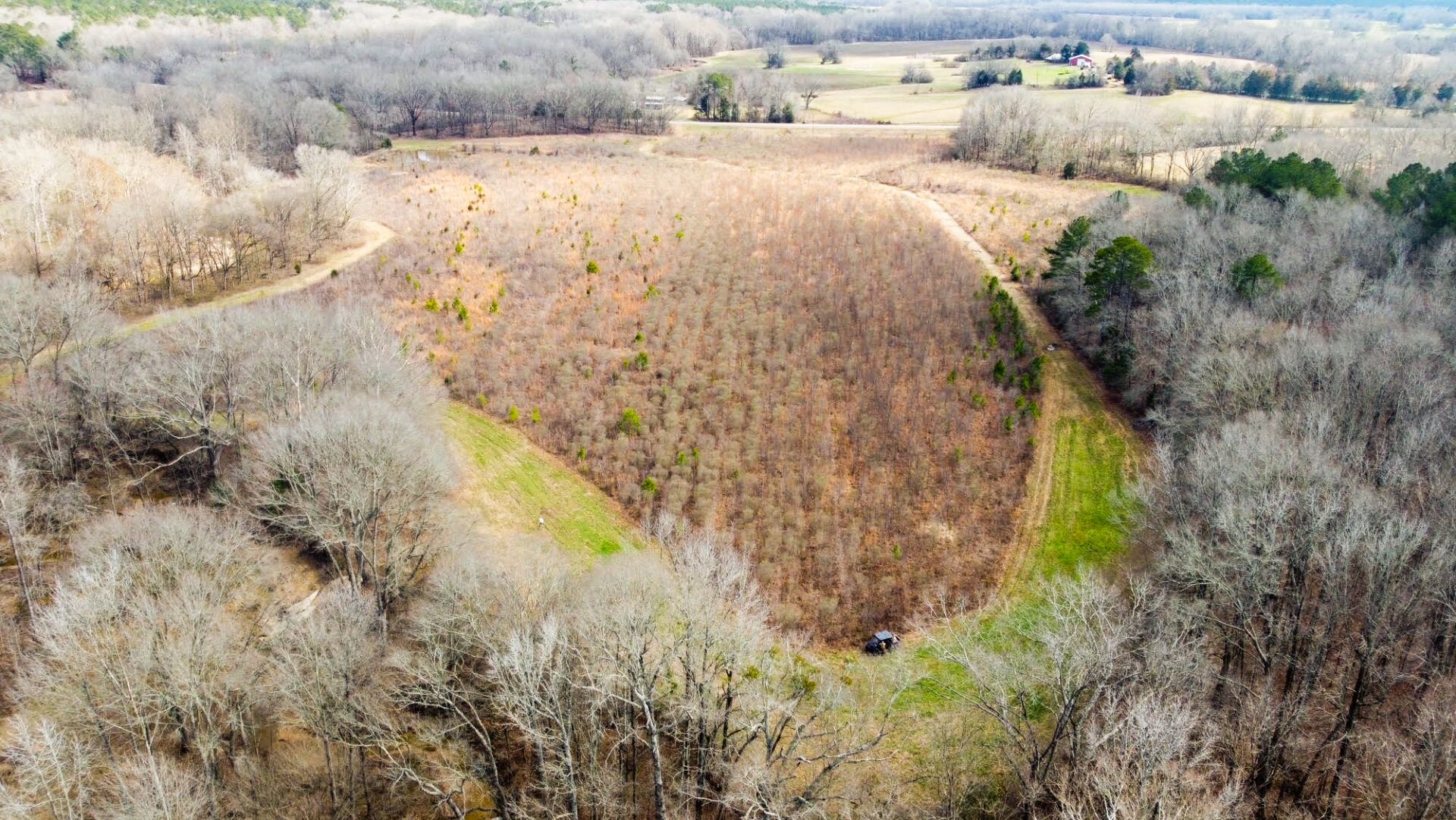 346 Acres, Holmes County, MS, Lexington, MS 39160 | LandWatch