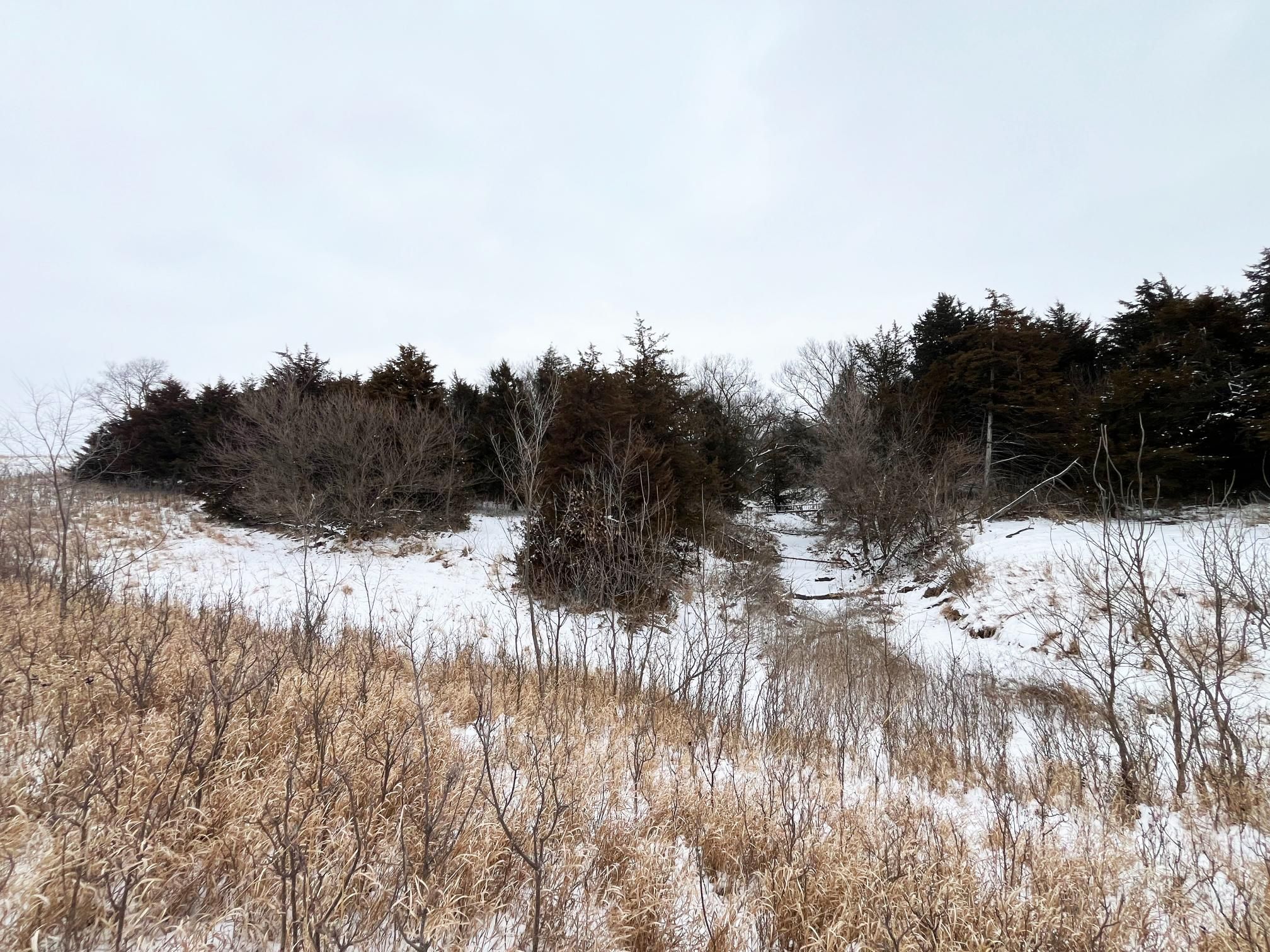 Stanton, NE 68779, Stanton, NE 68779 | LandWatch