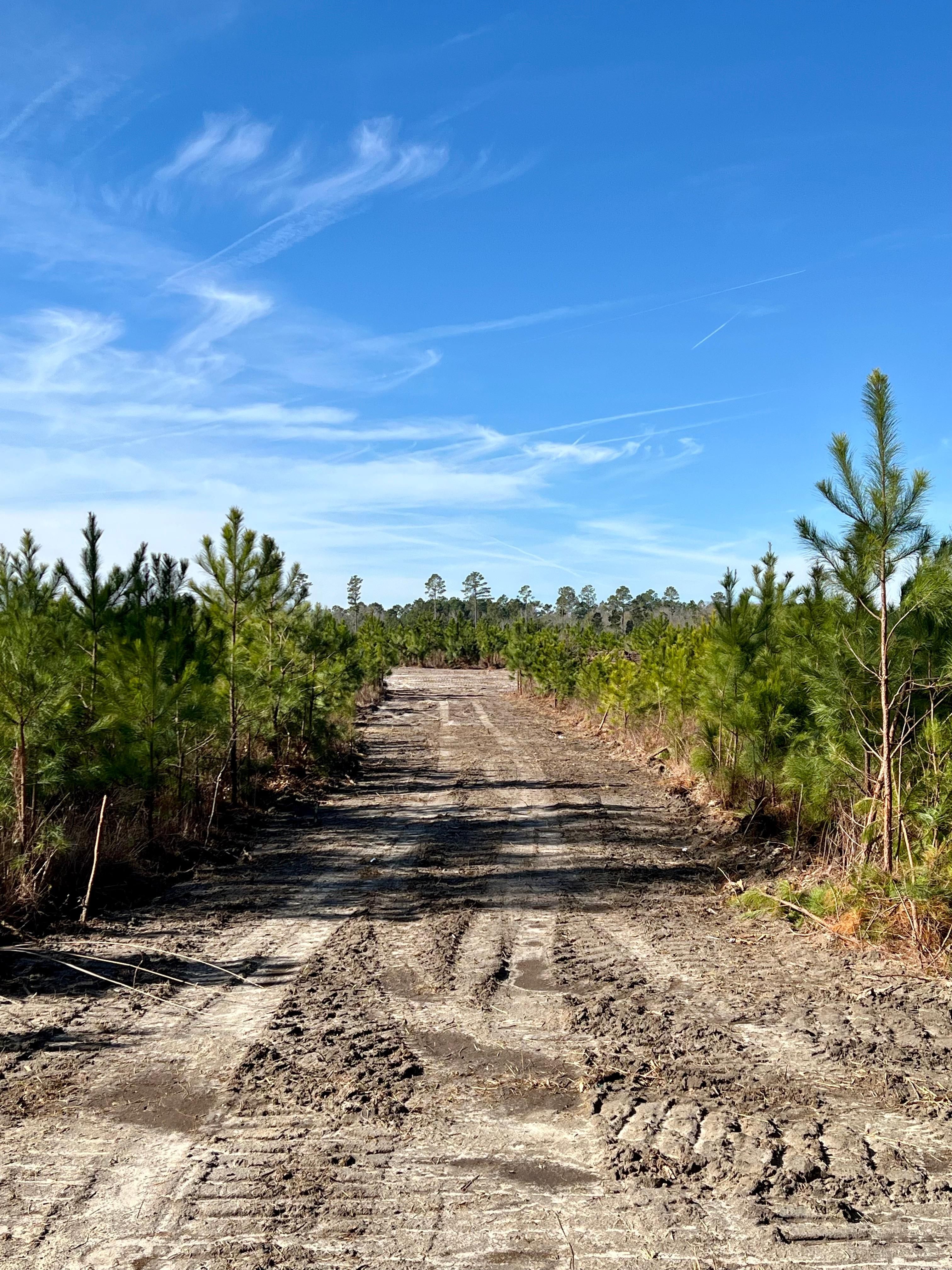 1004 Field Trial Road, Camden, SC 29020 | LandWatch