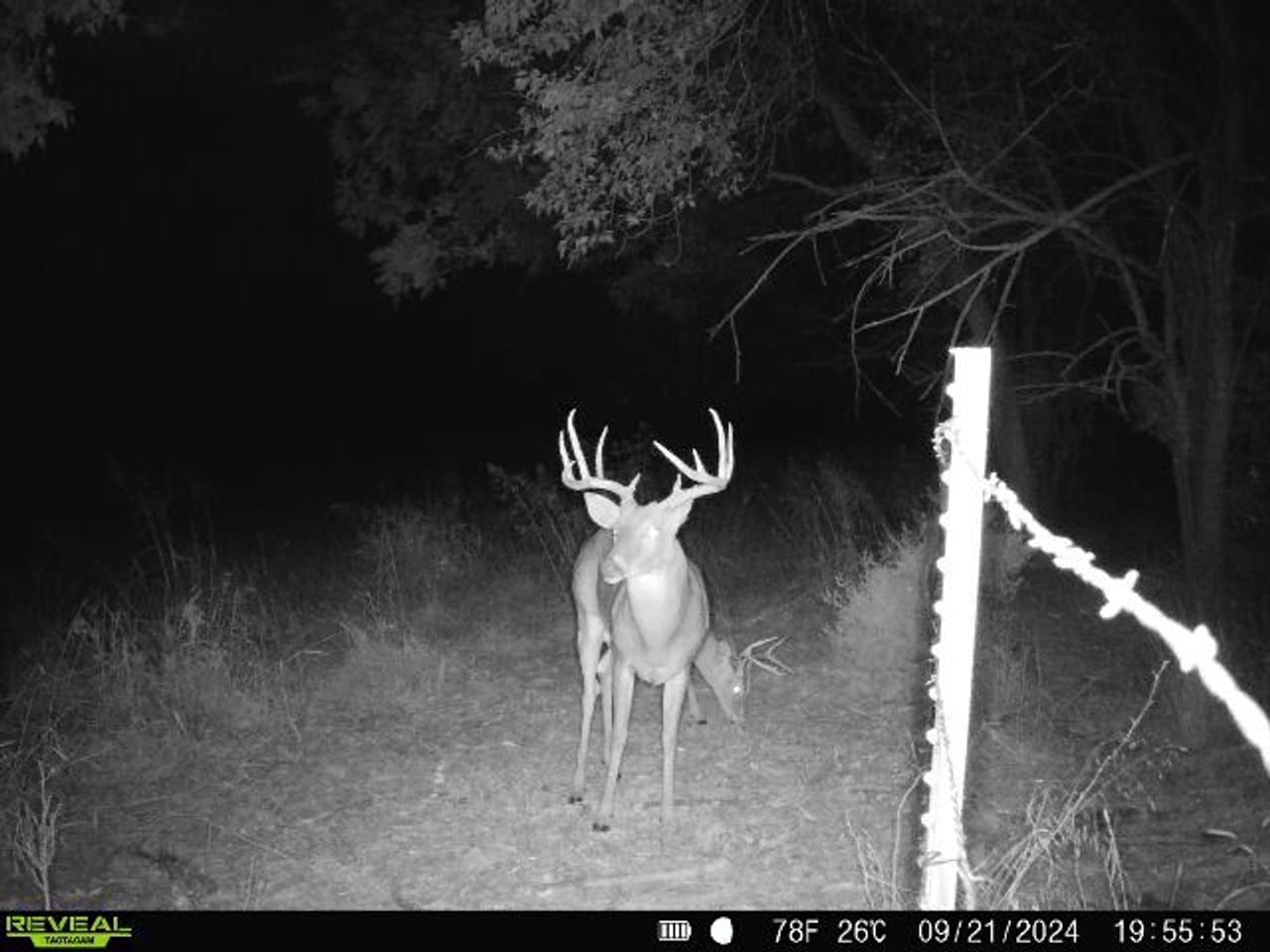 00000 RR, Cedar Vale, KS 67024 | LandWatch