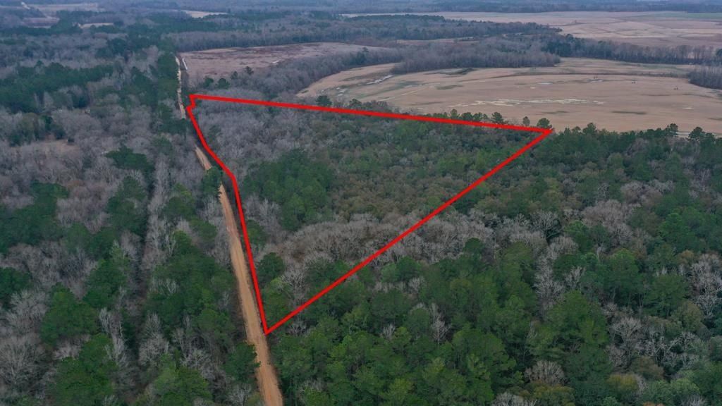 15.05 +/- Pera Rd, Samson, AL 36477 | MLS: 202546 | LandWatch