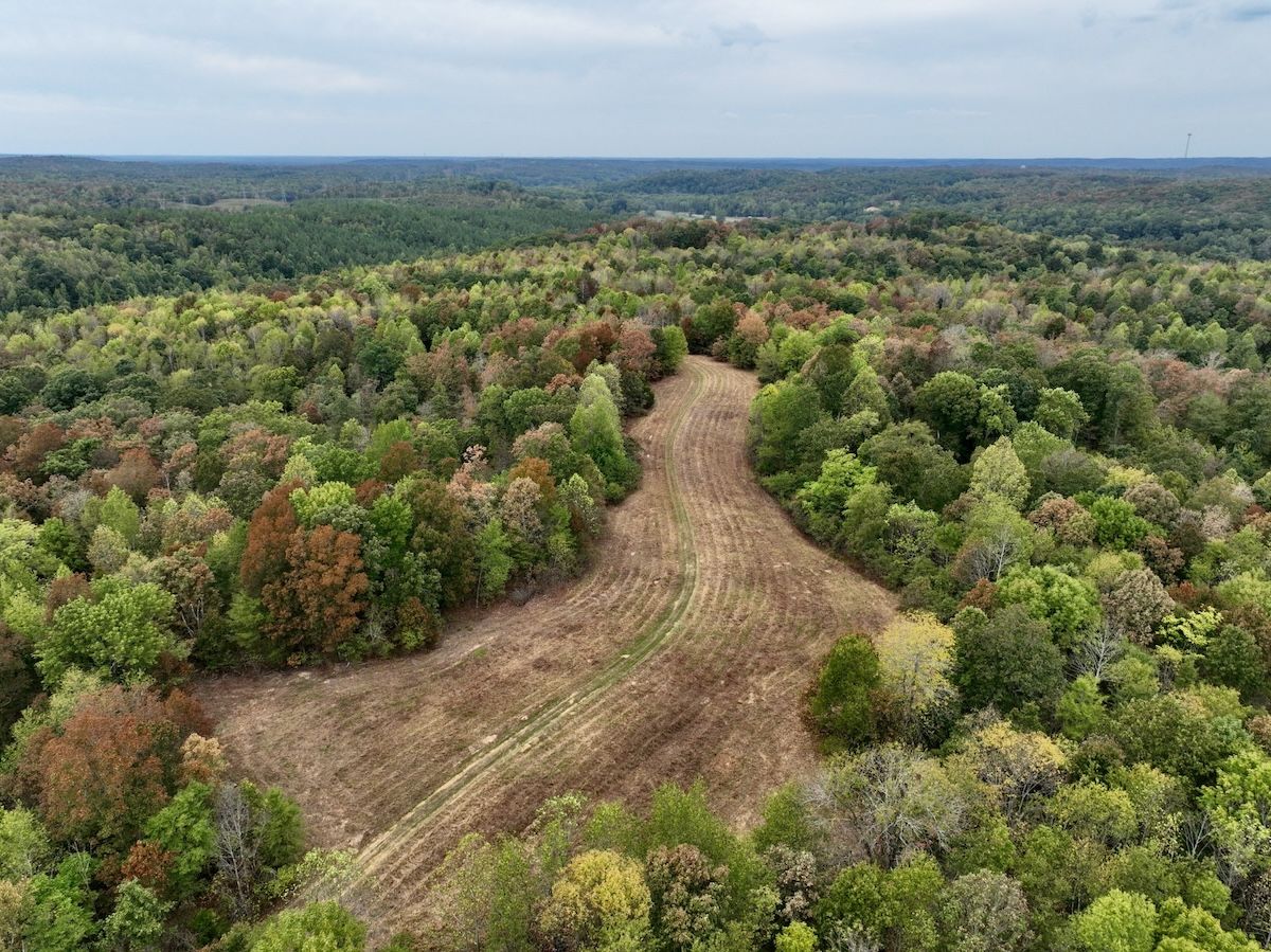 0 Bakerville Rd. Lot WP 001, Waverly, TN 37185 | MLS: 2701314 | LandWatch