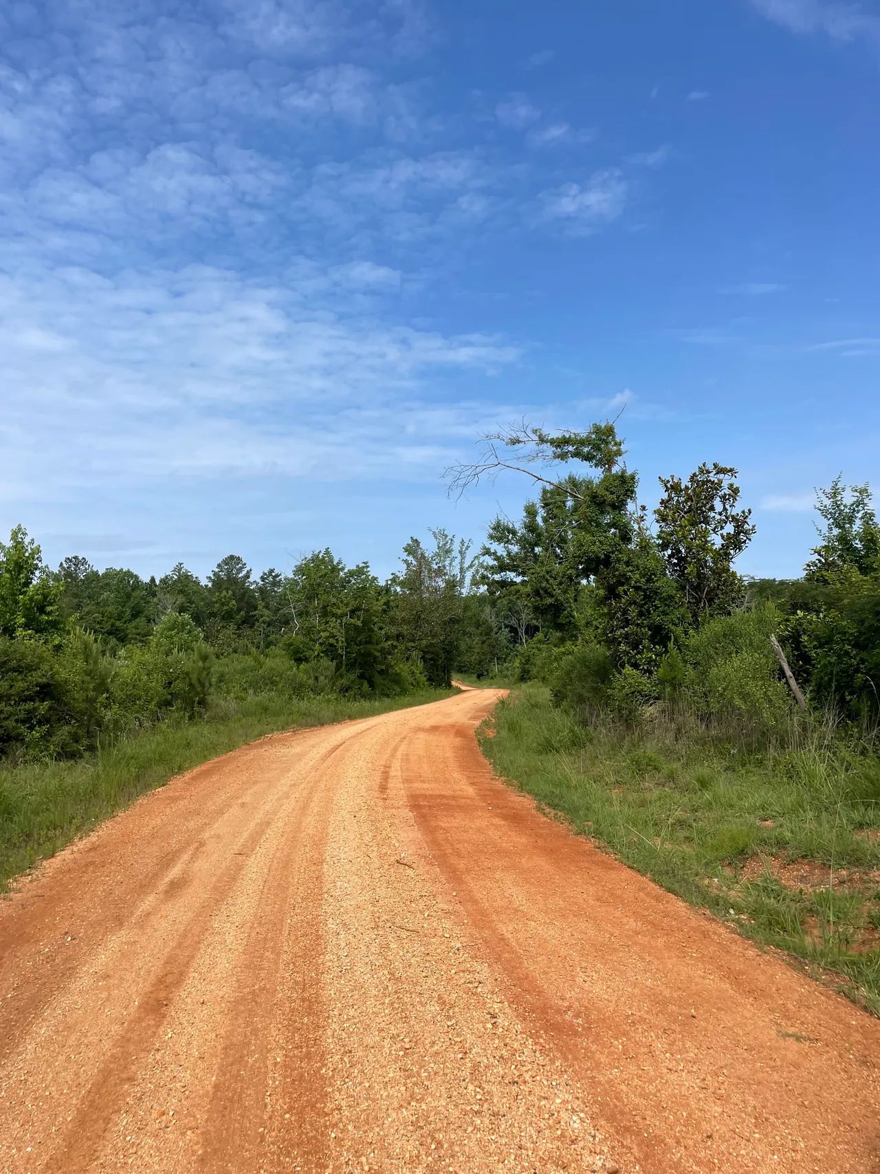 Pate Rd, Castleberry, AL 36432 | LandWatch