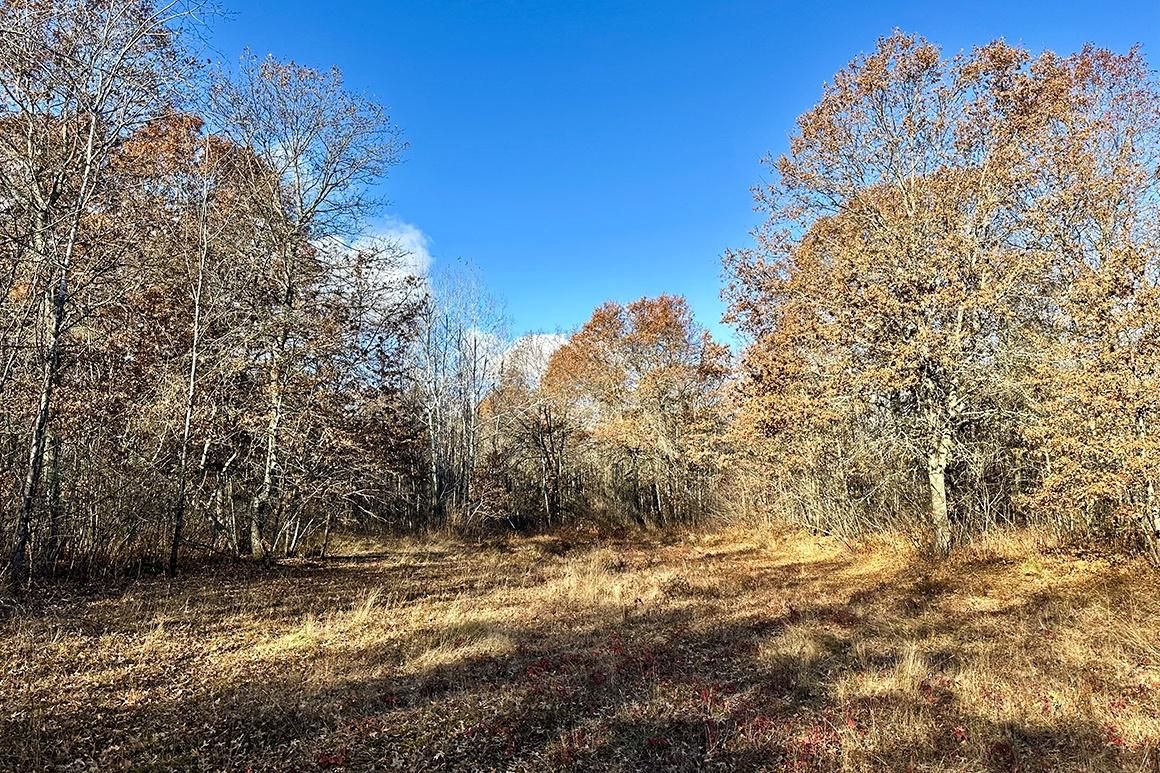 5.2 acres in Springbrook, WI, 54875 | LandWatch