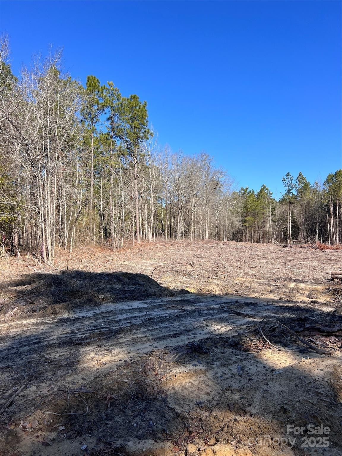 Lot 1-3 Crossroads Church Road, Mount Croghan, SC 29727 | MLS: 4226094 ...