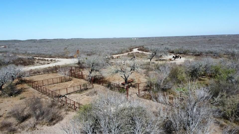 Persimmon Dr, Freer, TX 78357 | LandWatch