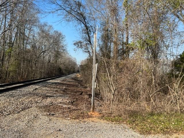 1579 Hammock Road, Coy, AL 36435 | MLS: 17406 | LandWatch