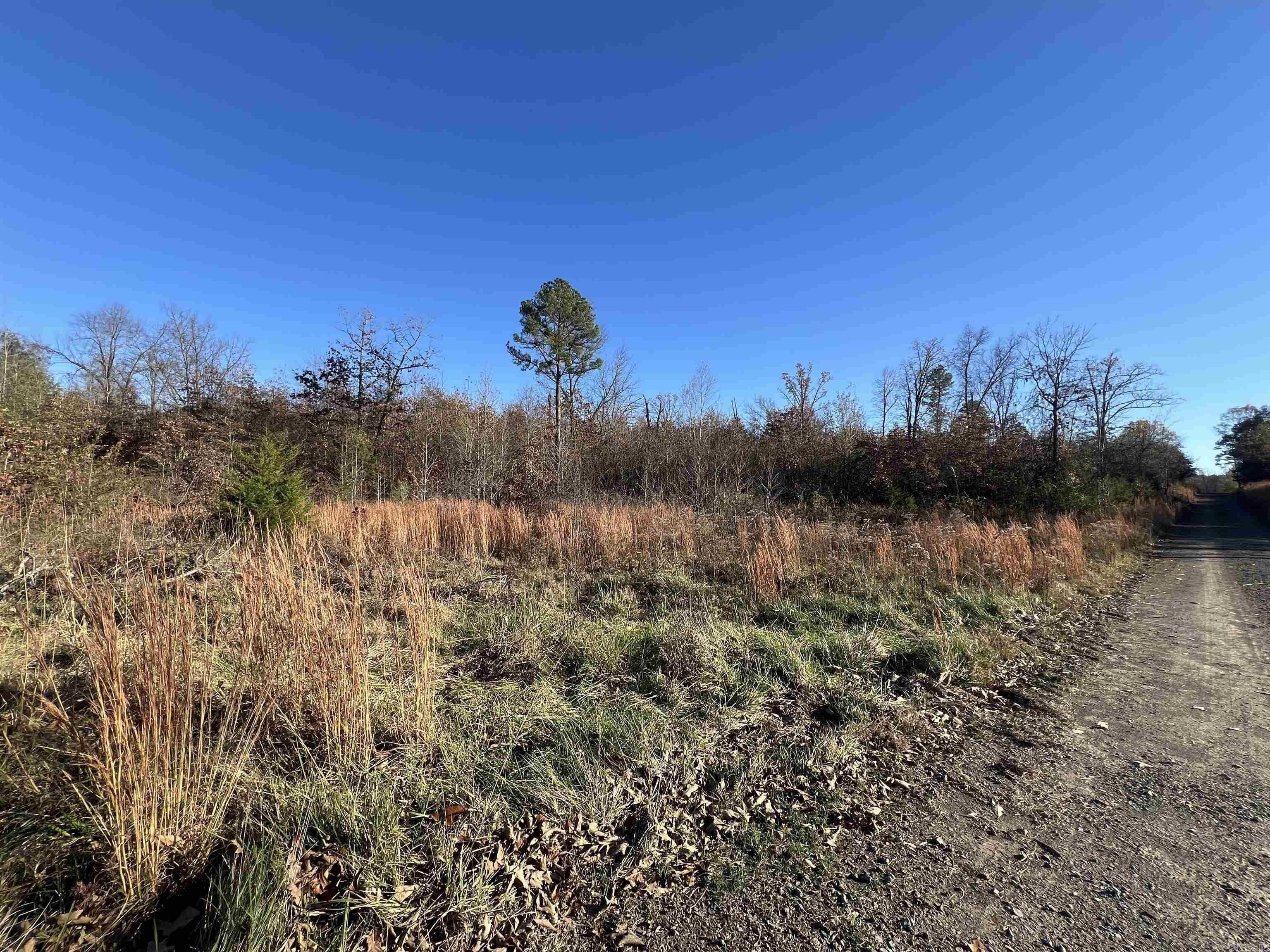 990 - A Mahan Drive, Center Ridge, AR 72027 | MLS: 25007271 | LandWatch