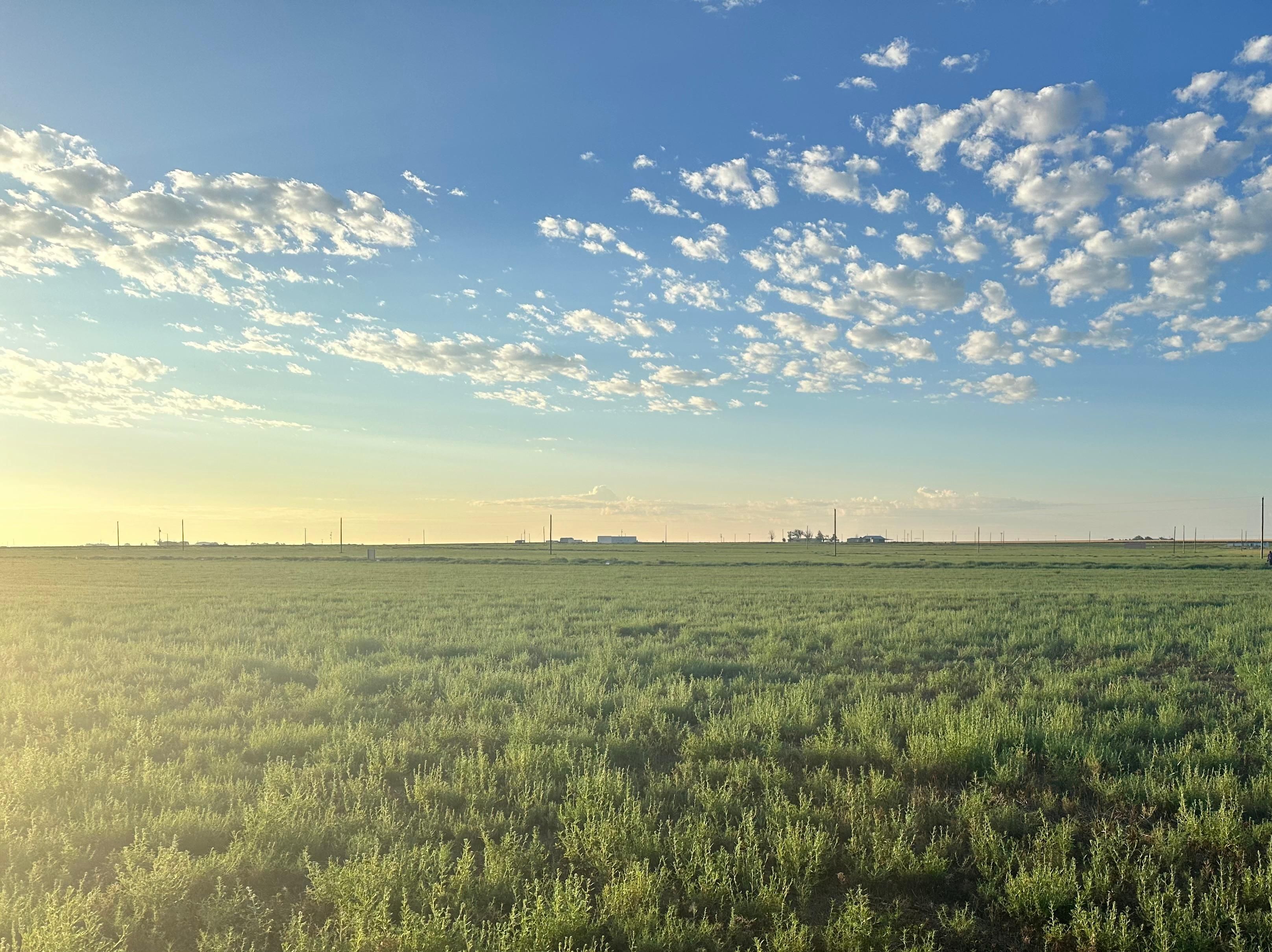 1 acres in Ropesville, TX, 79358 | LandWatch