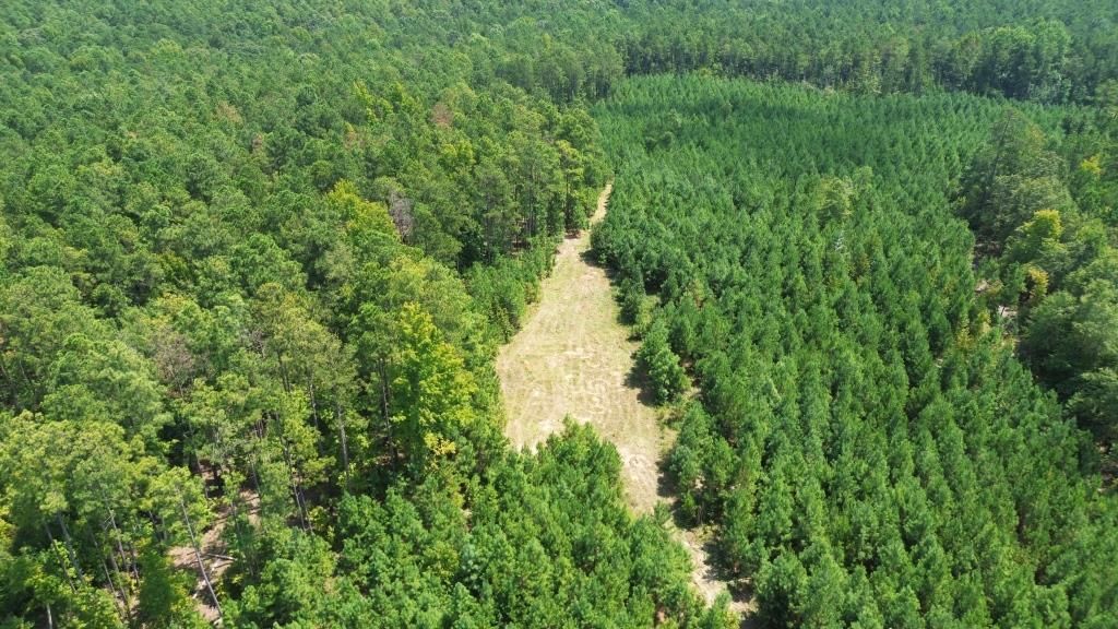 86 acres in Ridgeway, SC, 45039 | MLS: B766B SC Fairfield Co- Longtown ...