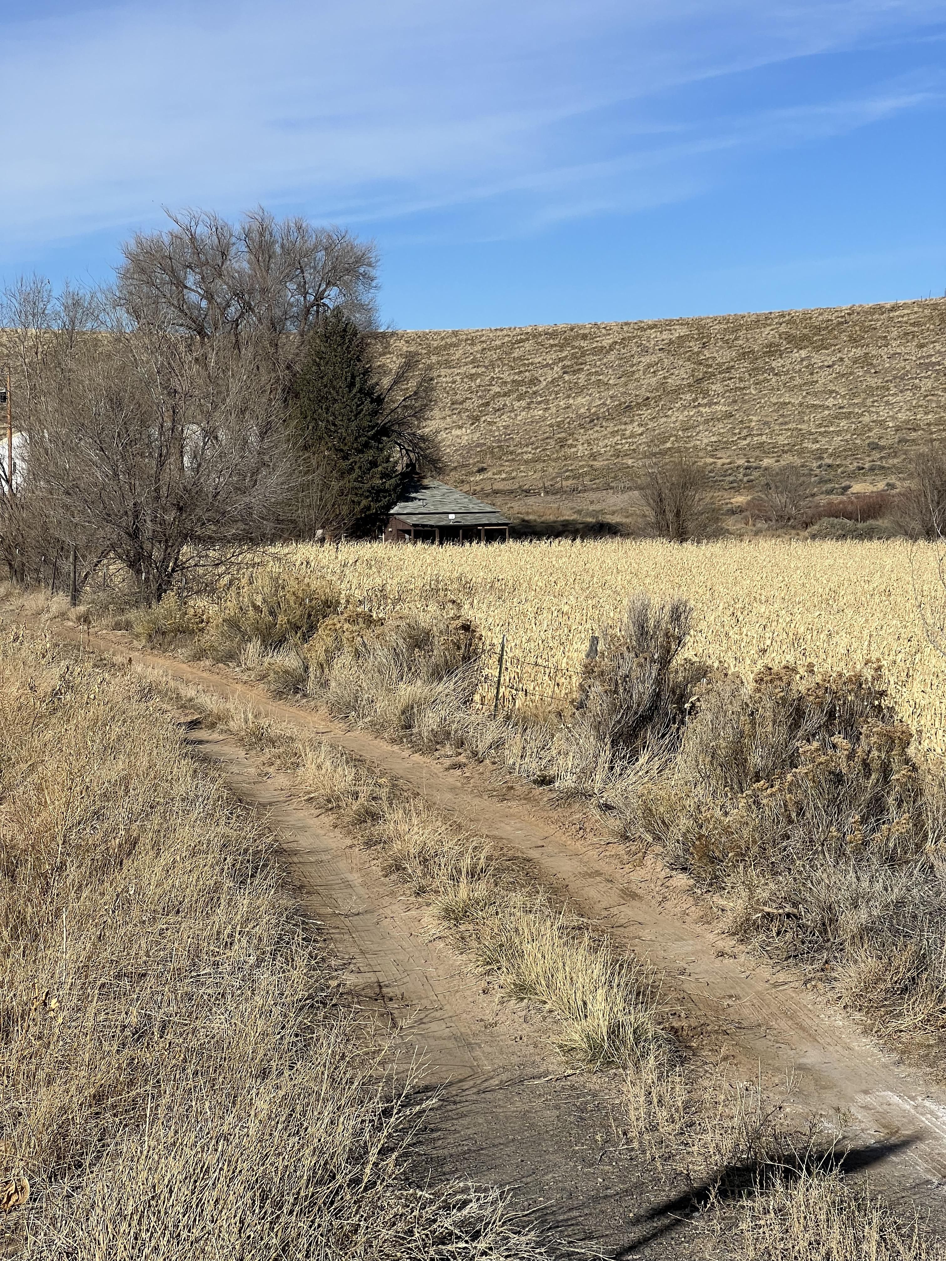 Kiowa Road, Montrose, CO 81403 | MLS: 820933 | LandWatch