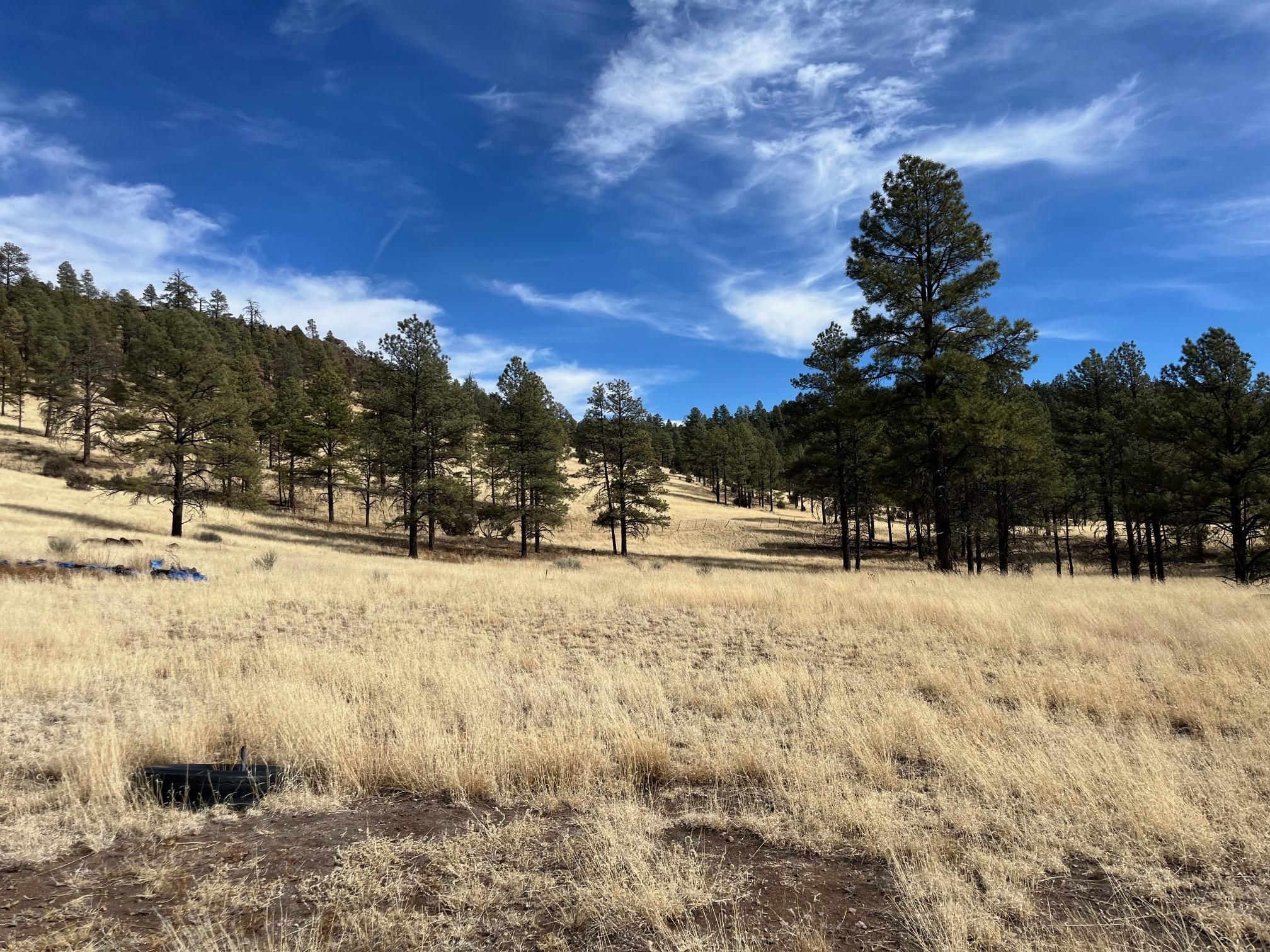 277 Luna Valley Drive, Luna, NM 87824 | LandWatch