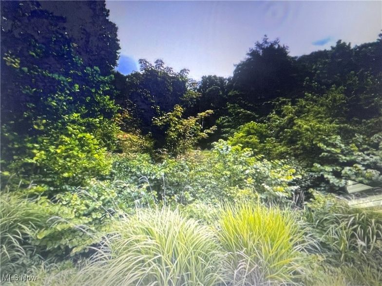 00 Route #50, Walker, WV 26101 | MLS: 5067166 | LandWatch