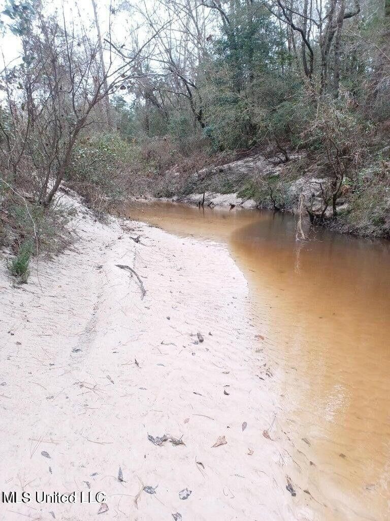 Nhn Rainbow Drive, Perkinston, MS 39573 | MLS: 4105017 | LandWatch