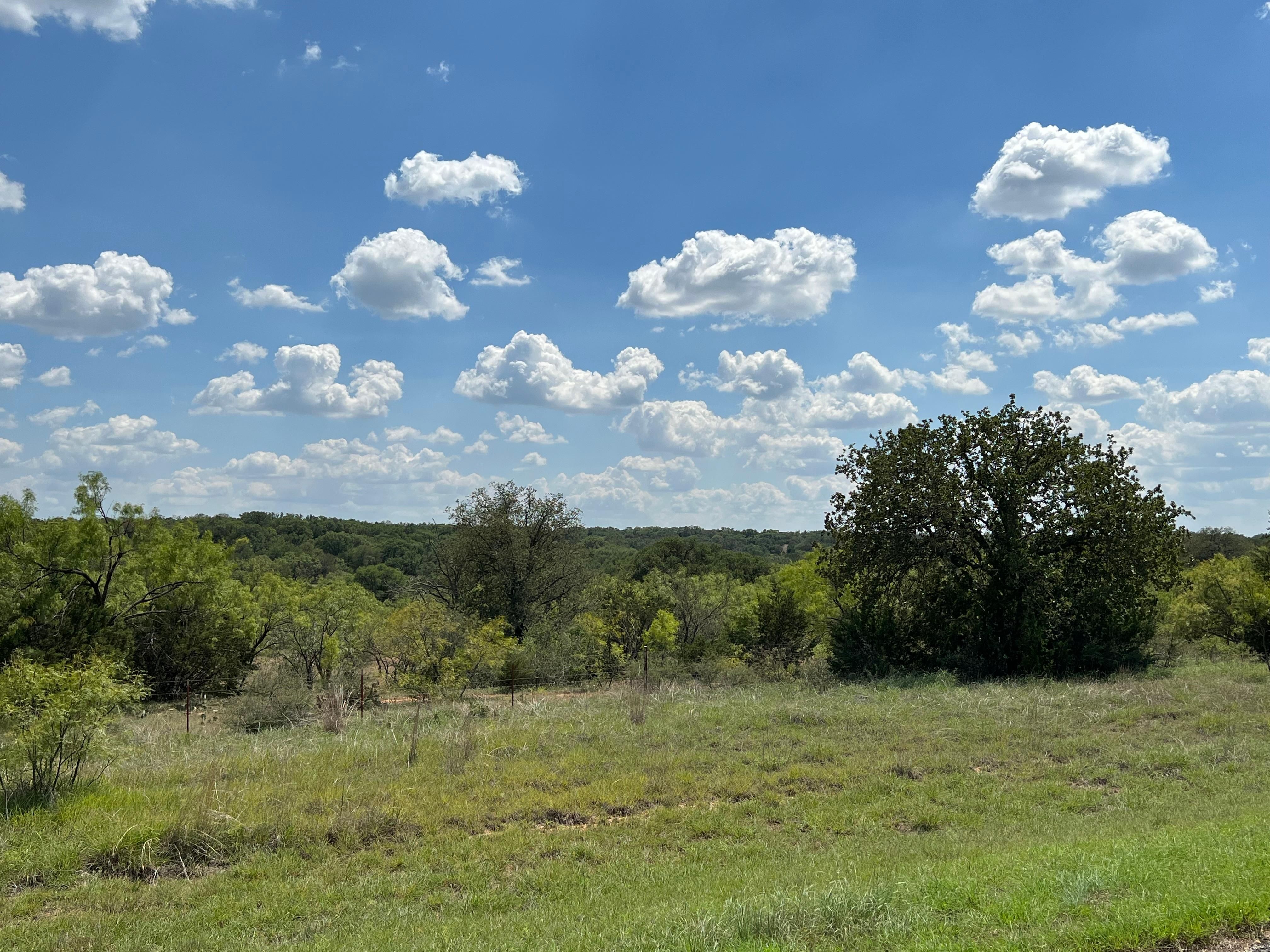 100 acres in Mullin, TX, 76864 | LandWatch