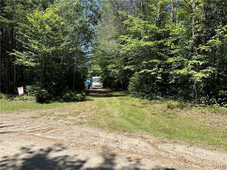 417 Tea Cup Street, Cold Brook, NY 13324 | MLS: S1554397 | LandWatch