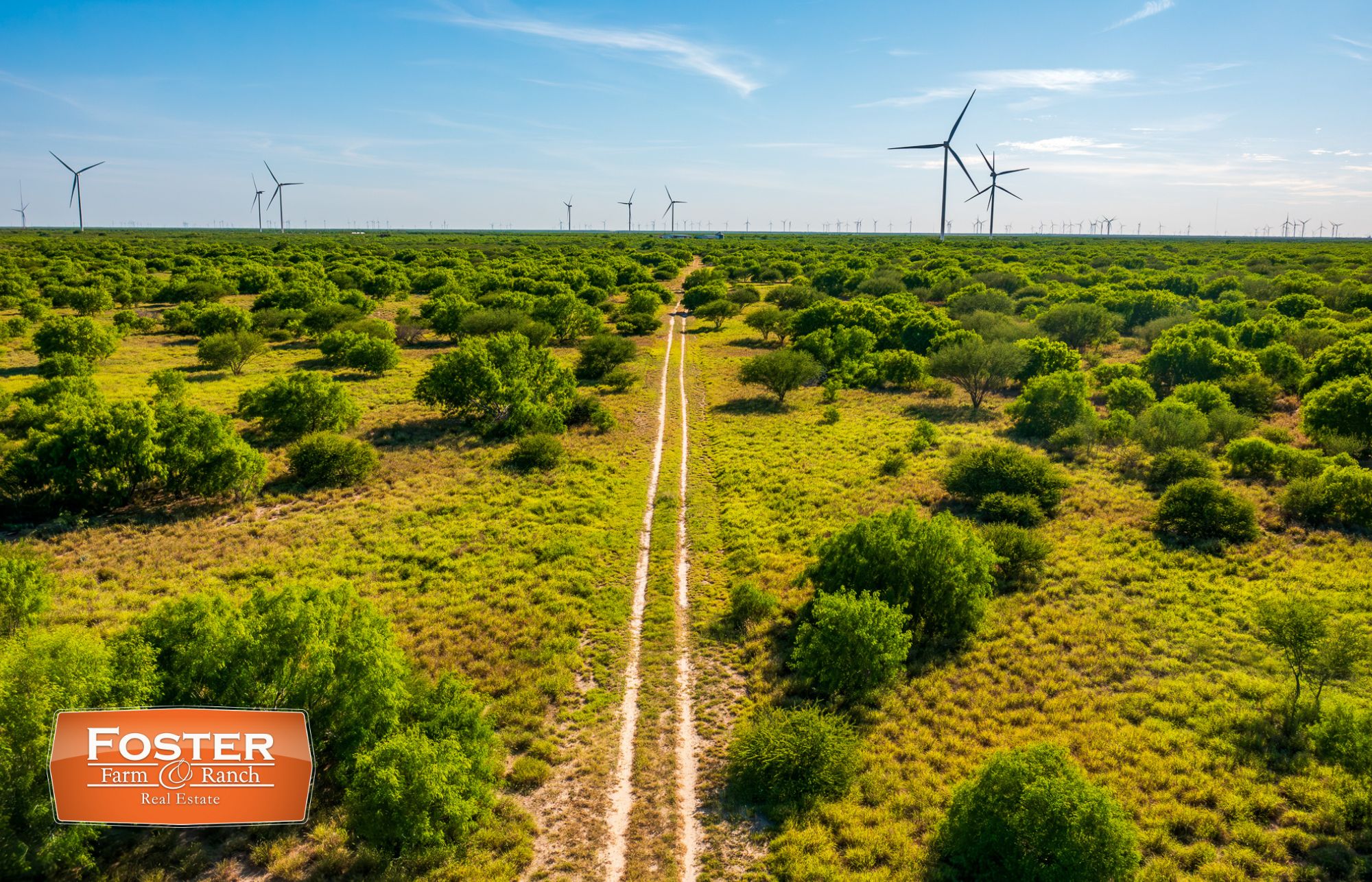 950 acres in McCook, TX, 78563 | LandWatch