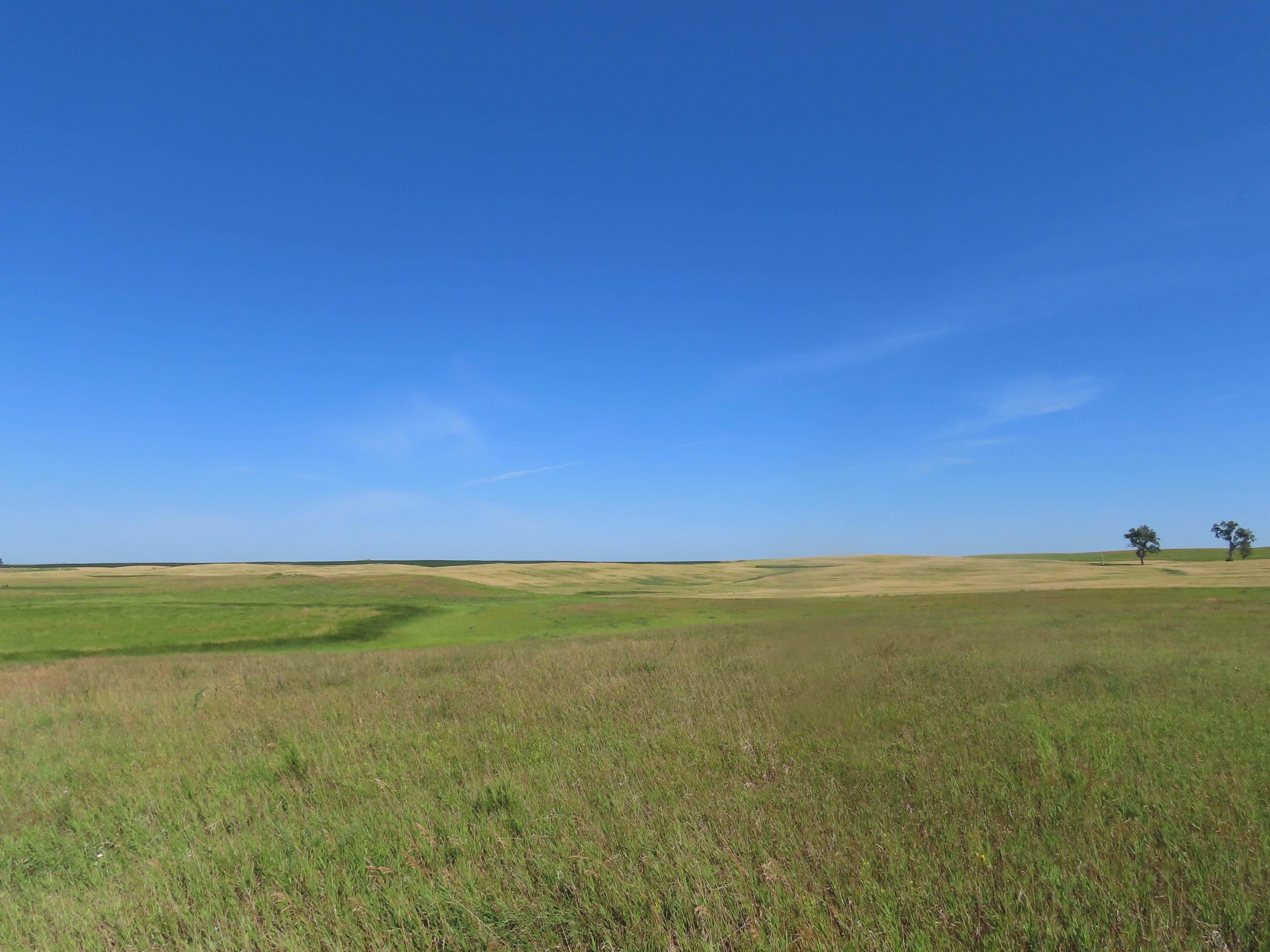 553 acres in Merricourt, ND, 58433 | LandWatch