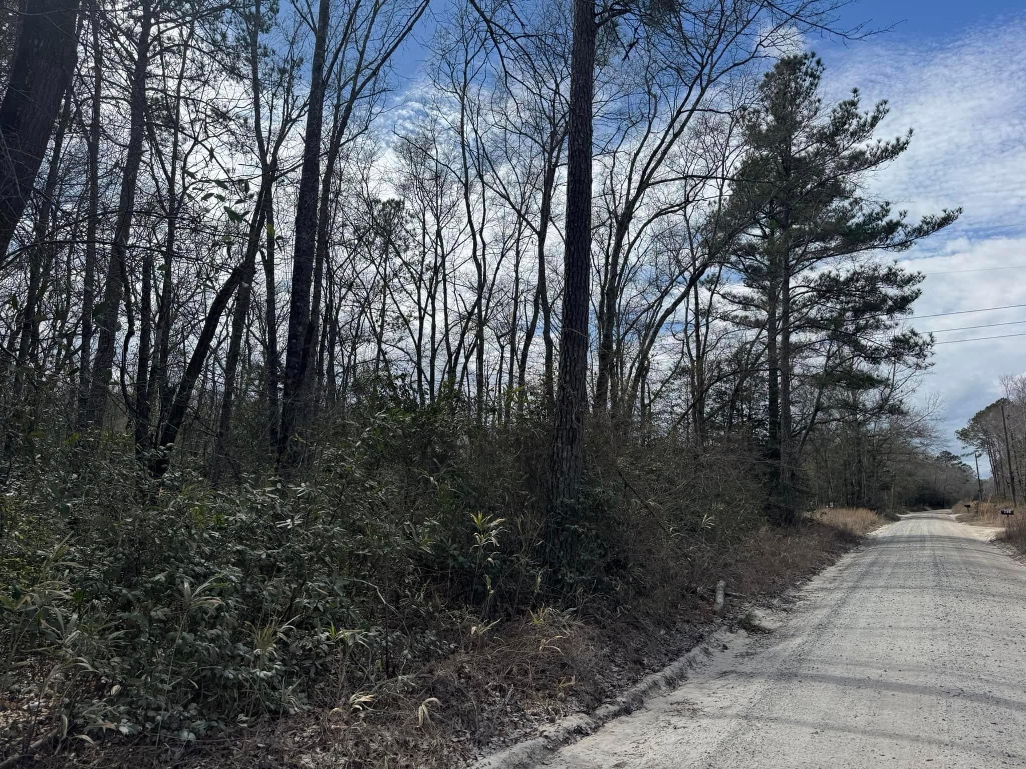 1230 Goffman Road, Eastover, SC 29044 | MLS: 603306 | LandWatch