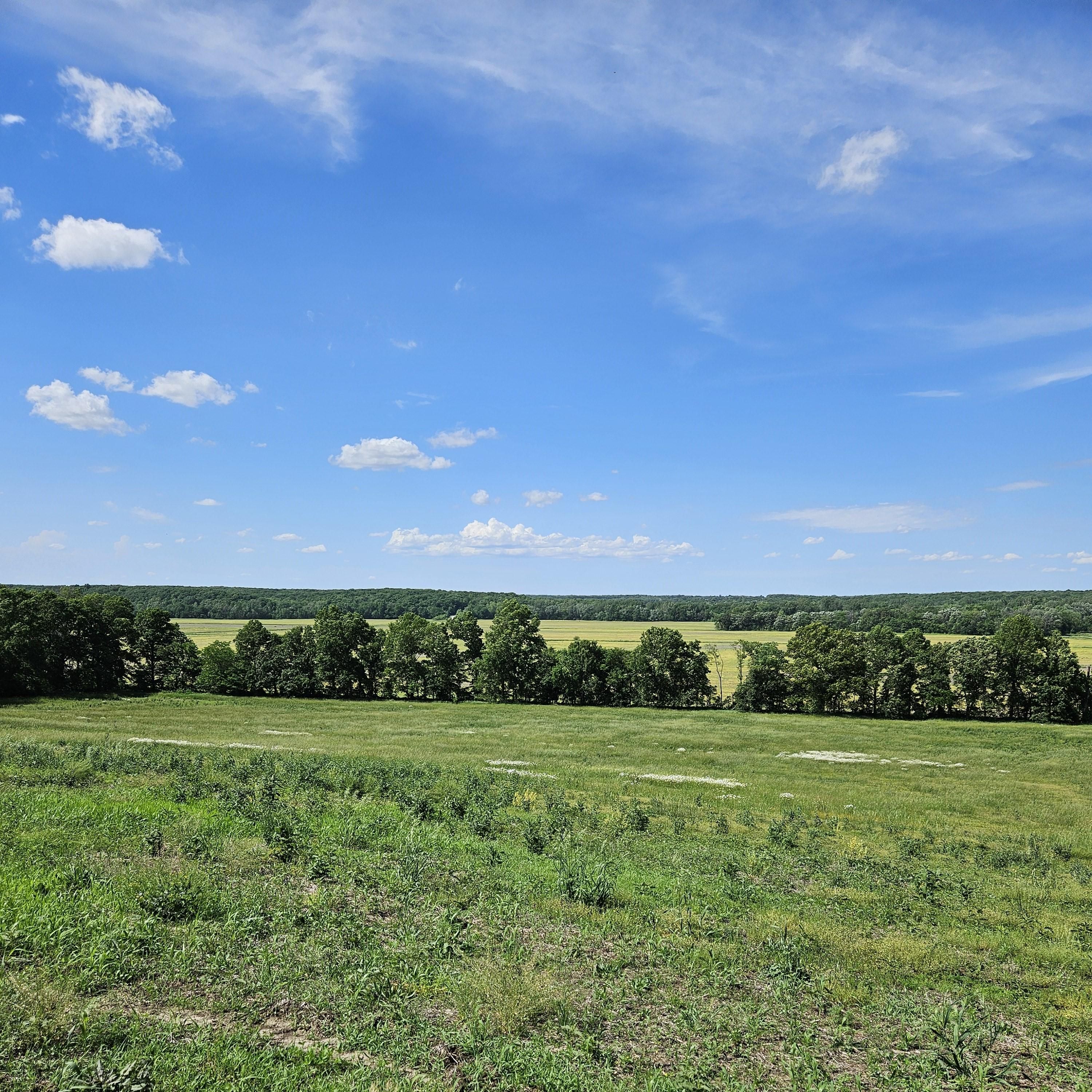 22 acres in Emden, MO, 63439 | LandWatch