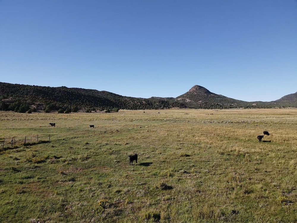 2970 N Mud Spring Hollow Road, Lot#WP001, Sevier, UT 84766 | LandWatch