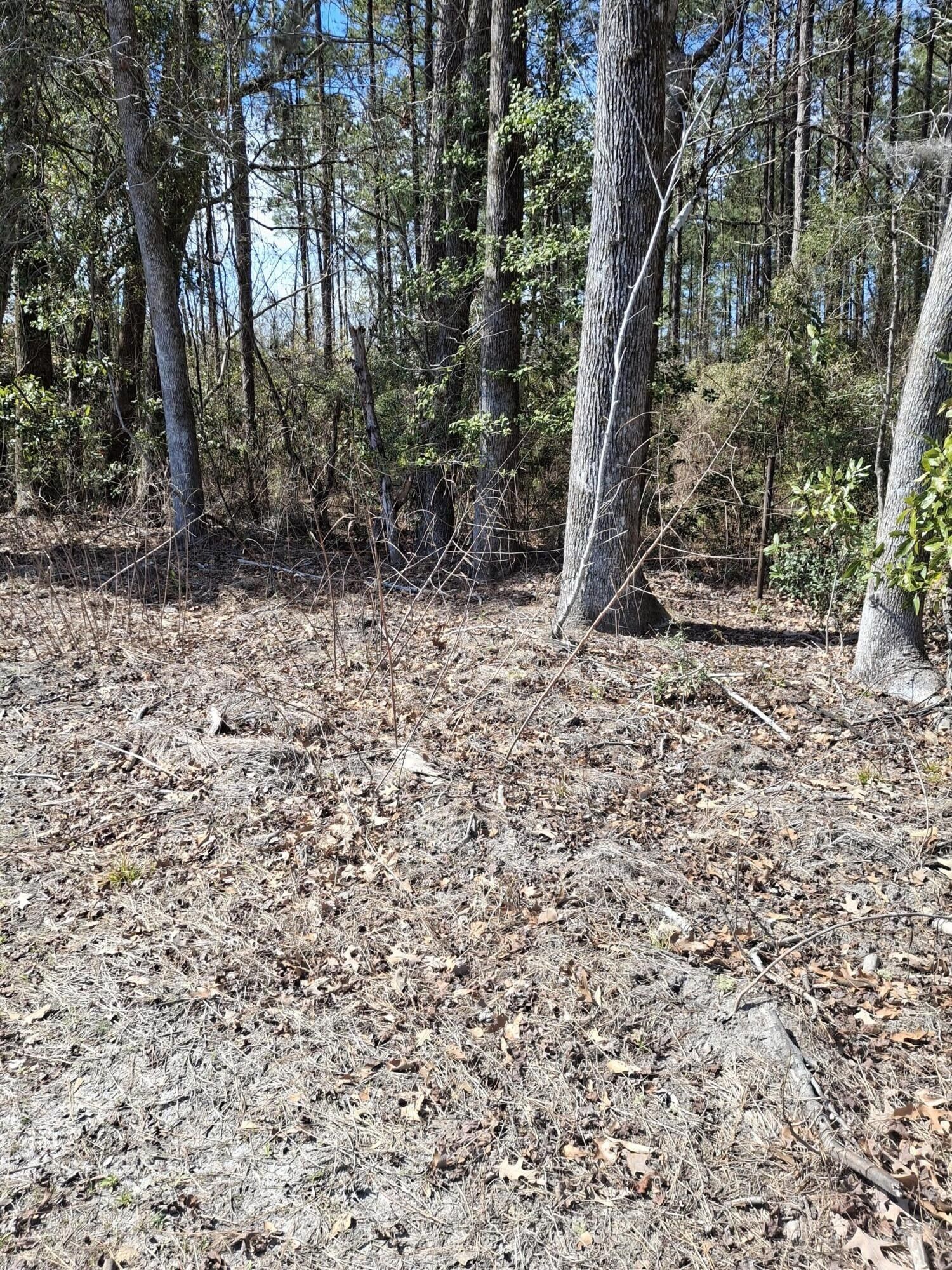 0 County Line Road, Ravenel, SC 29470 | MLS: 25005898 | LandWatch