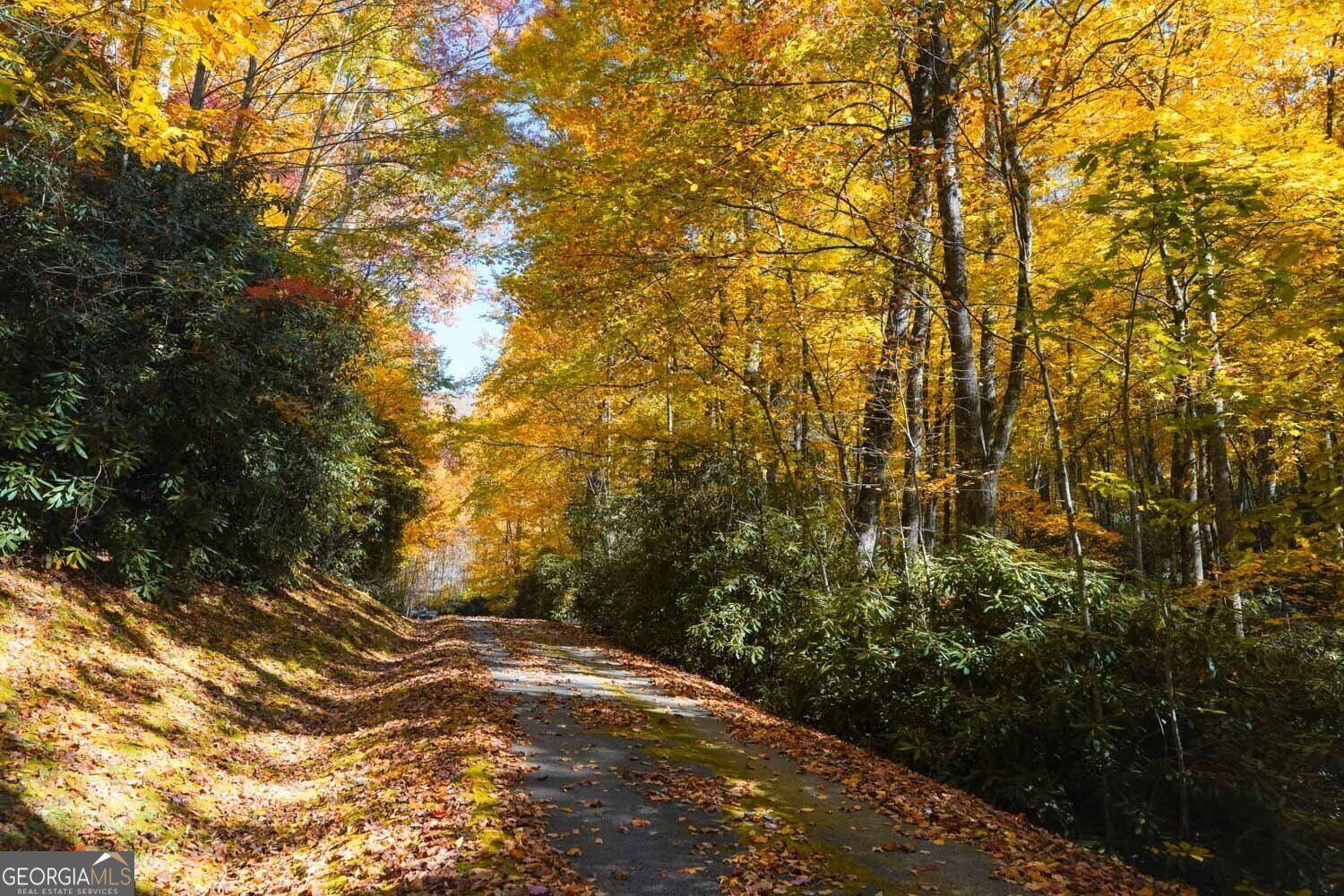 0 Bald Mountain, Dillard, GA 30537 | MLS: 10472239 | LandWatch