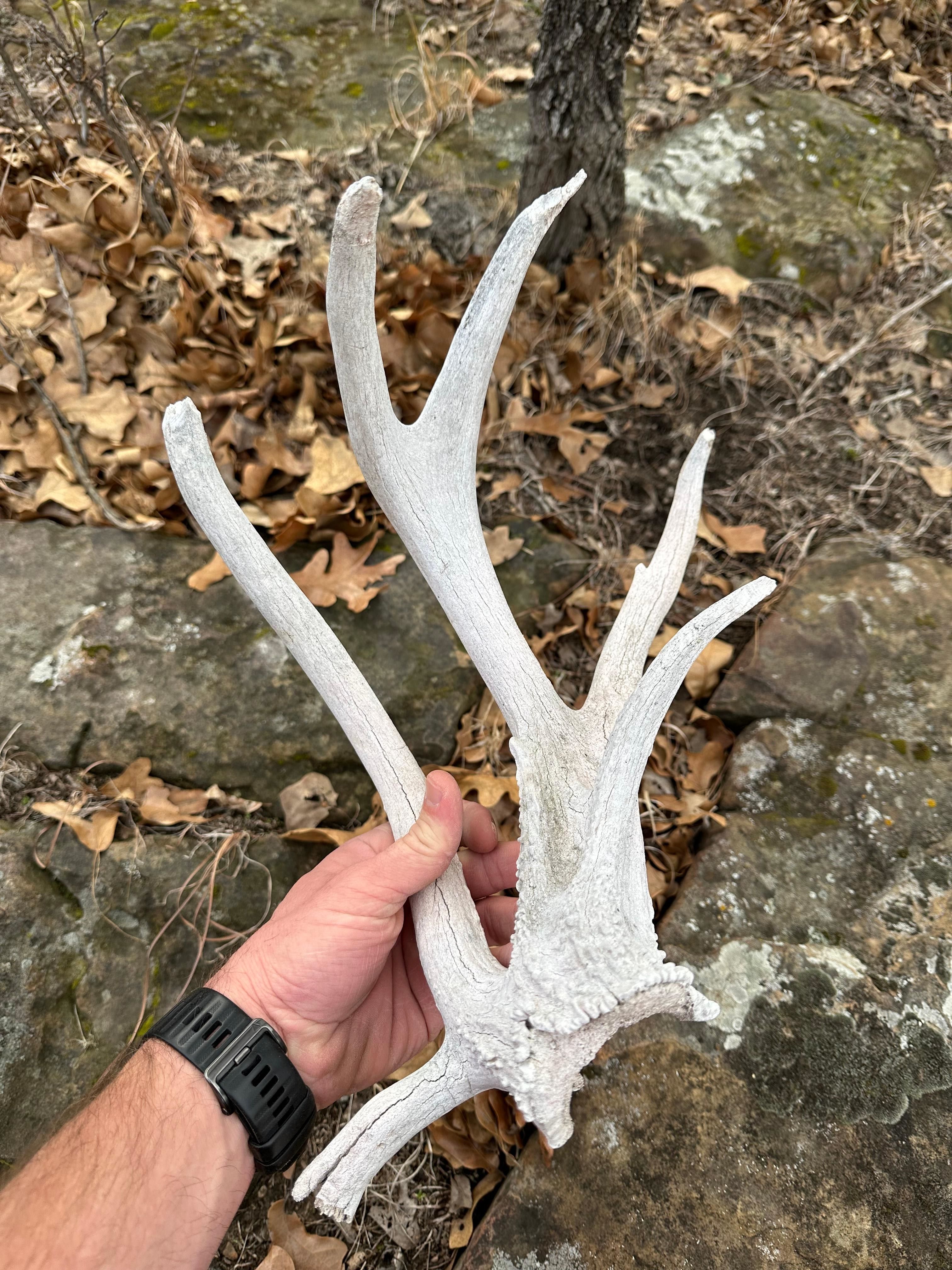 Rd 24, Peru, KS 67360 | LandWatch