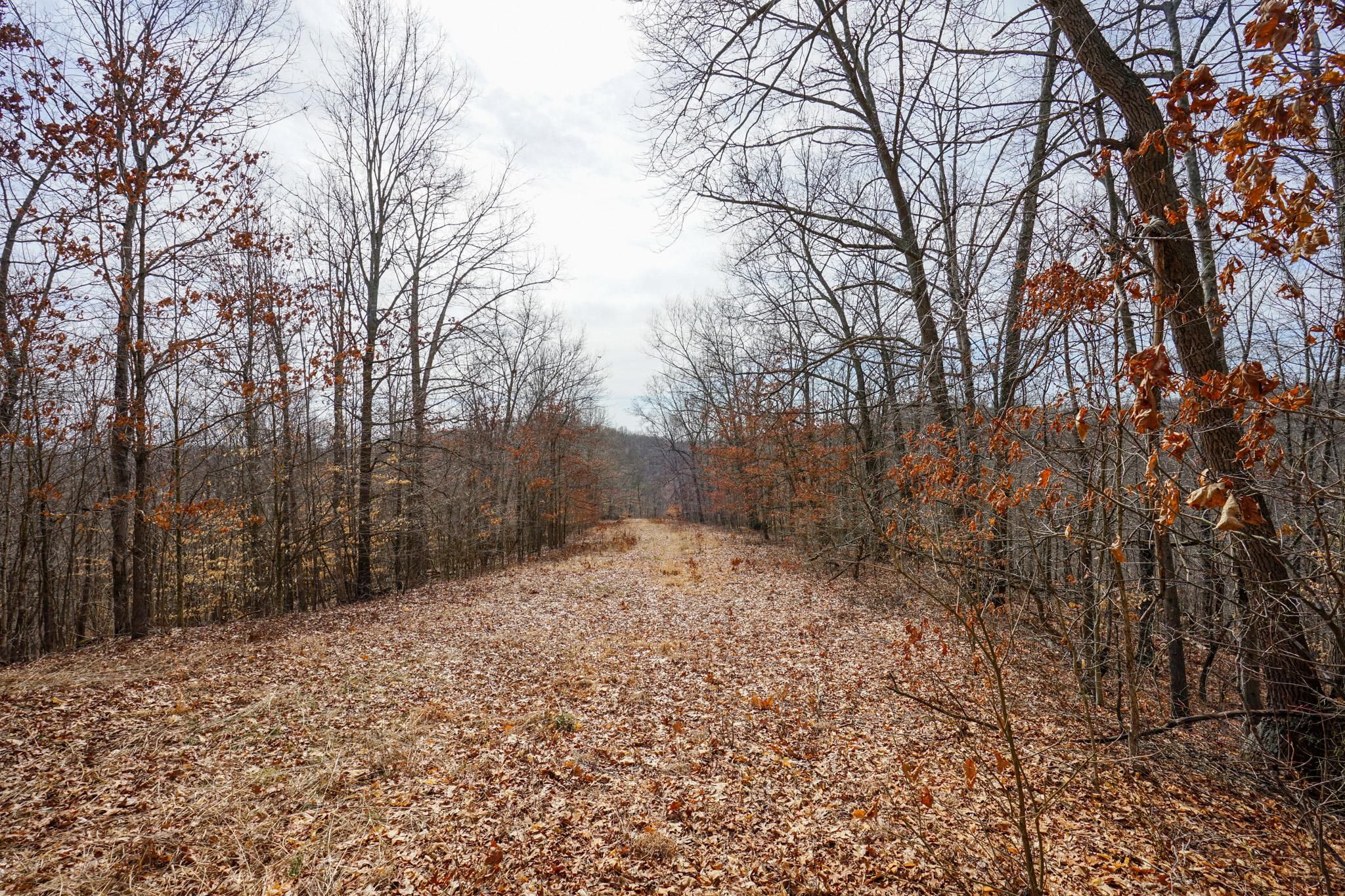 Jackson Fork Rd, South Webster, OH 45682 | LandWatch