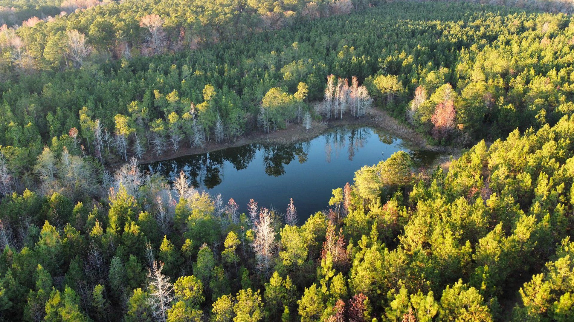 Greenfield Road, Seale, AL 36875 | LandWatch