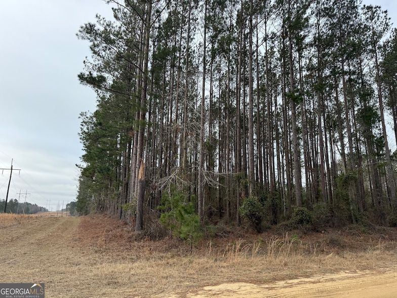 PARCEL B-1 Southside Drive, Lyons, GA 30436 | MLS: 10459443 | LandWatch