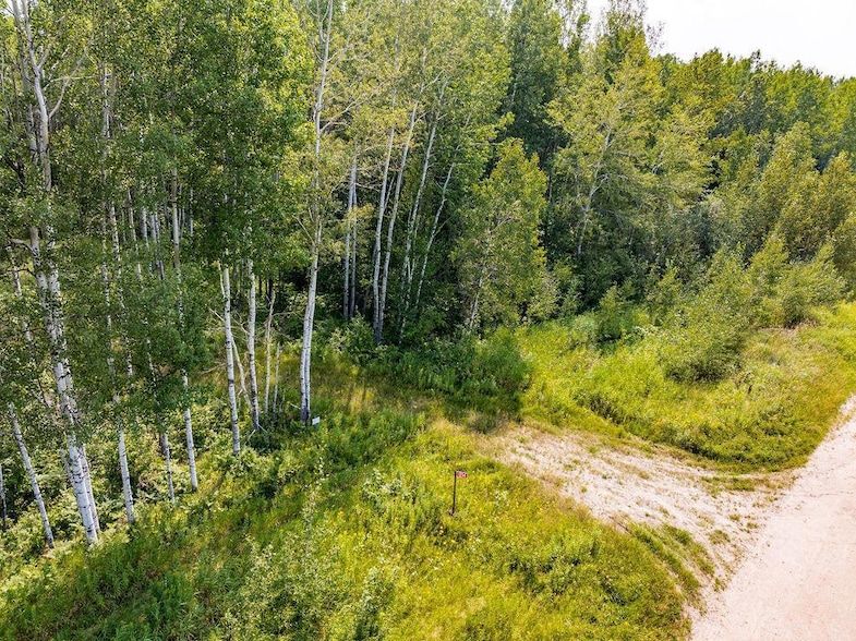 1214 Saint Louis Co 201, Forbes, MN 55738 | MLS: NST6598226 | LandWatch