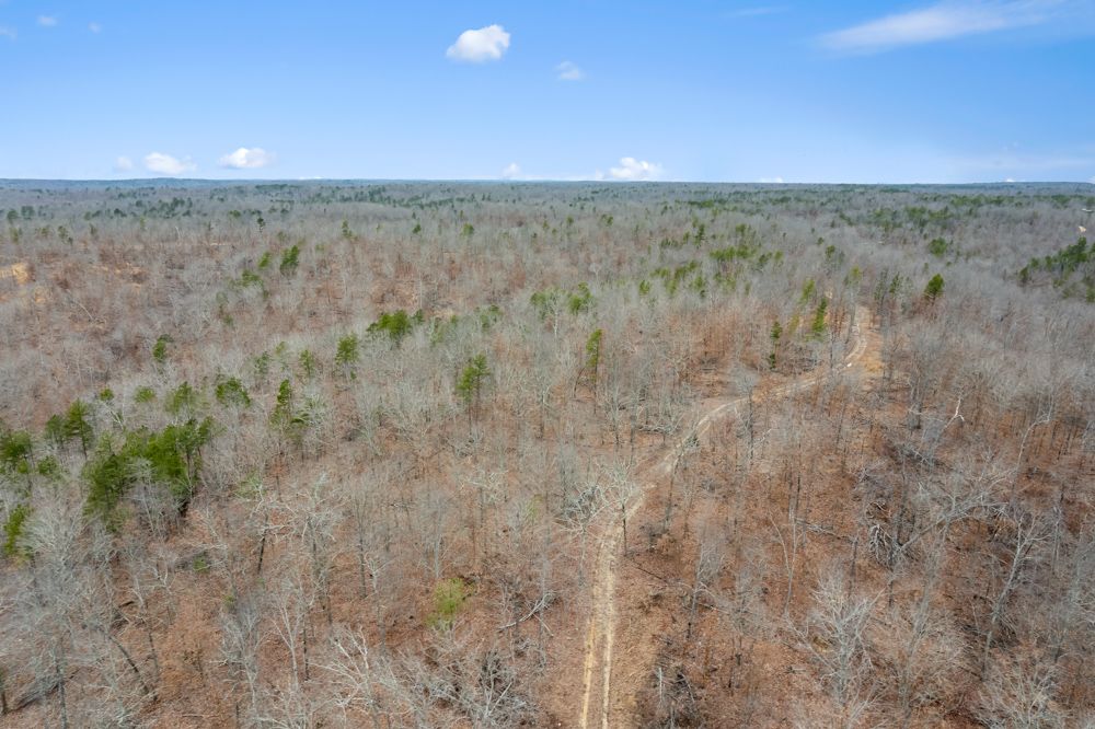 000 County Road 774, Ellington, MO 63638 | MLS: Reynolds 80 | LandWatch