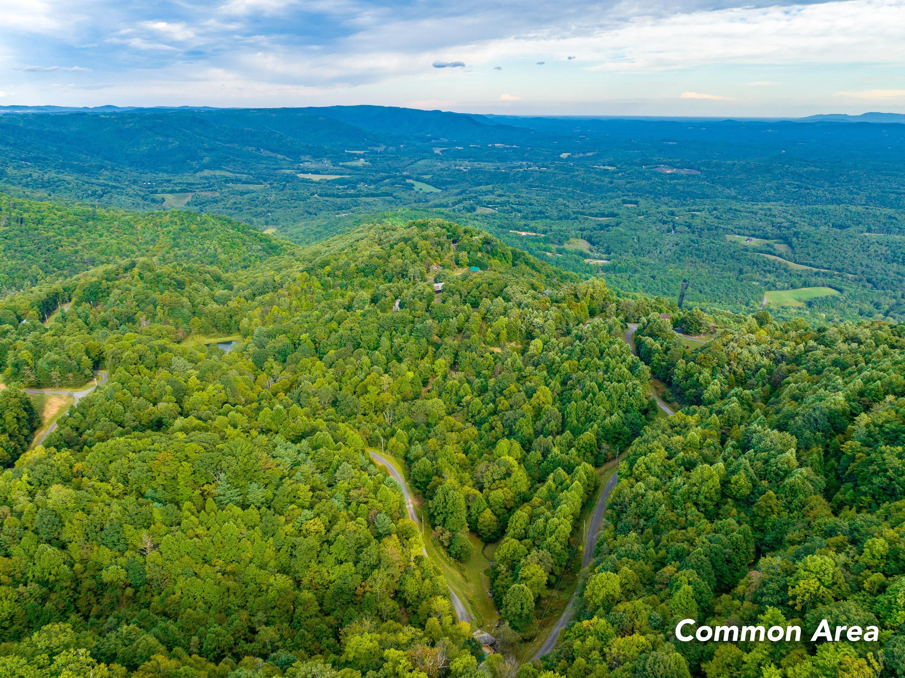 Covered Bridge Trail, Fancy Gap, VA 24328 | MLS: 98707 | LandWatch