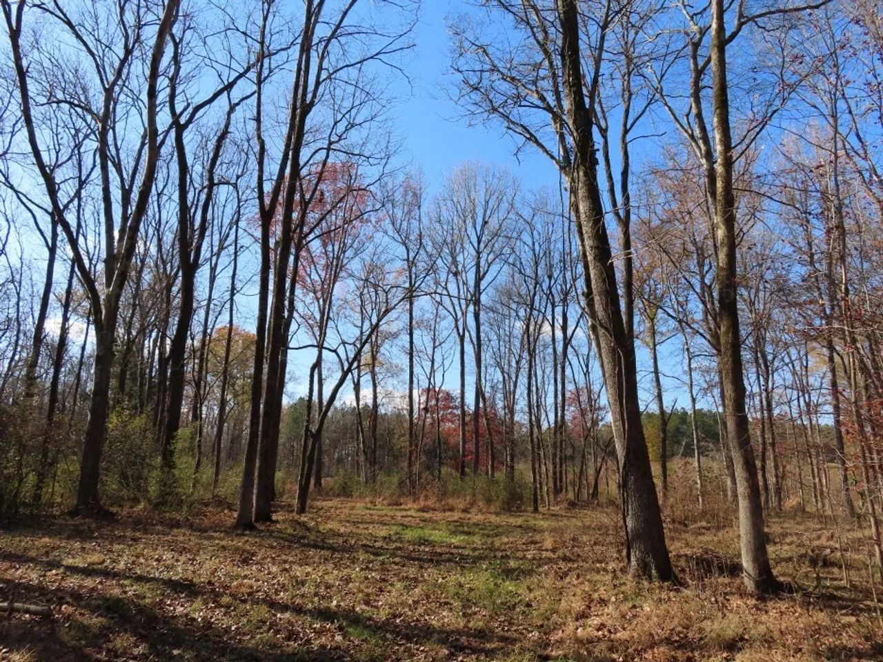 Bull Run Road, White Oak, SC 29180 | LandWatch